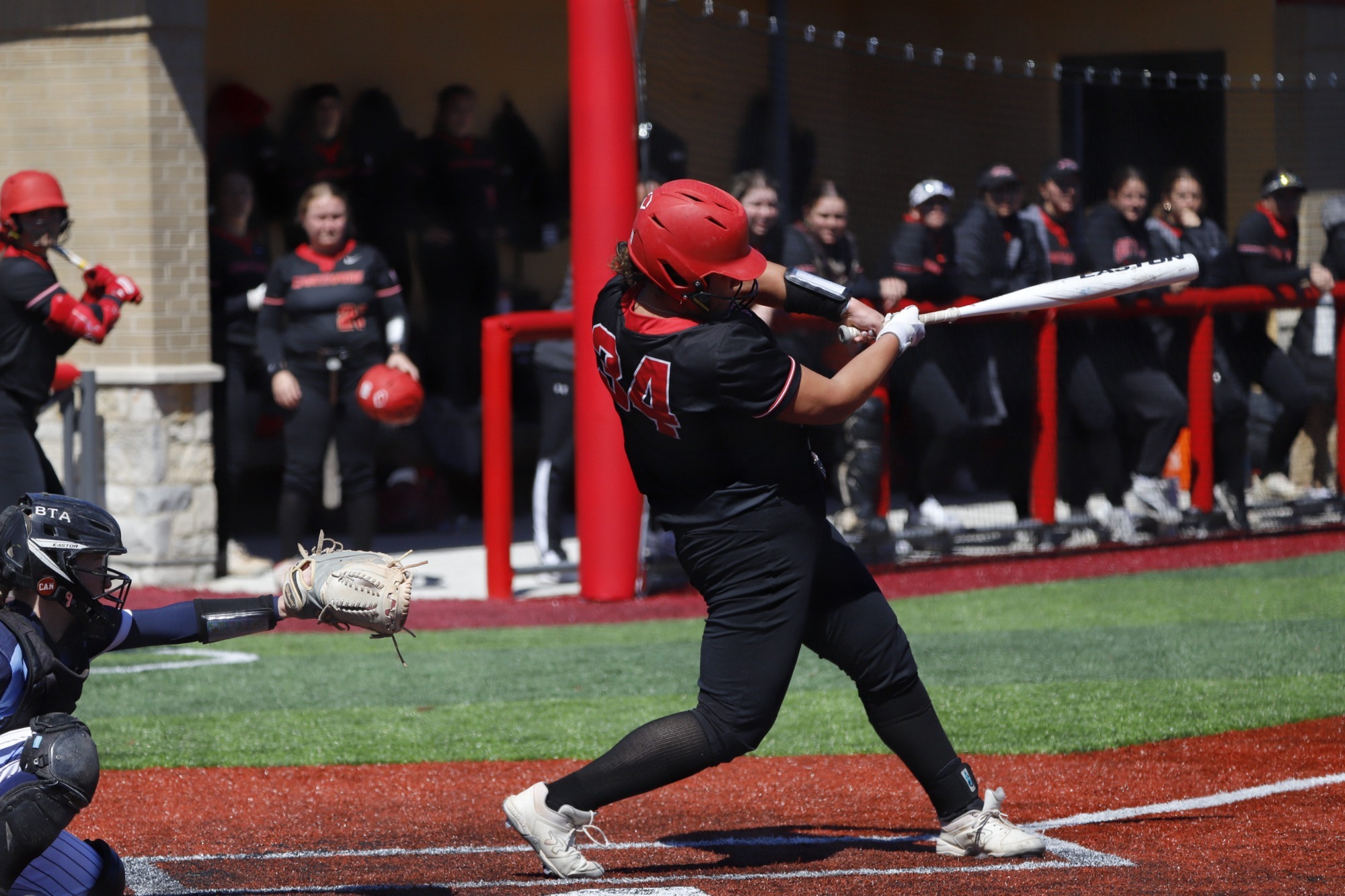 Softball Splits Saturday Series with Augustana - Carthage College Athletics