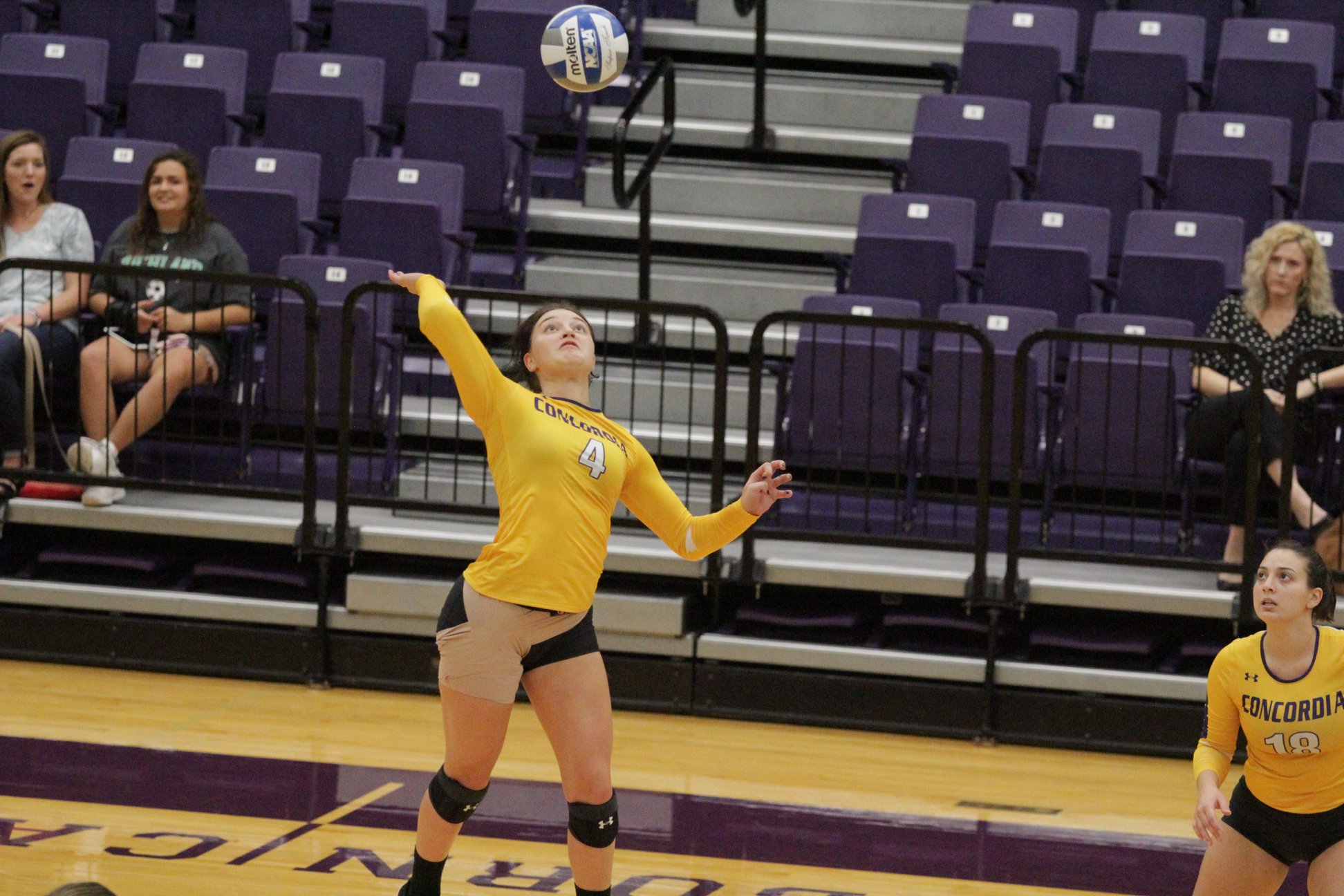 Tristyn Massey - Volleyball - Concordia University Texas Athletics