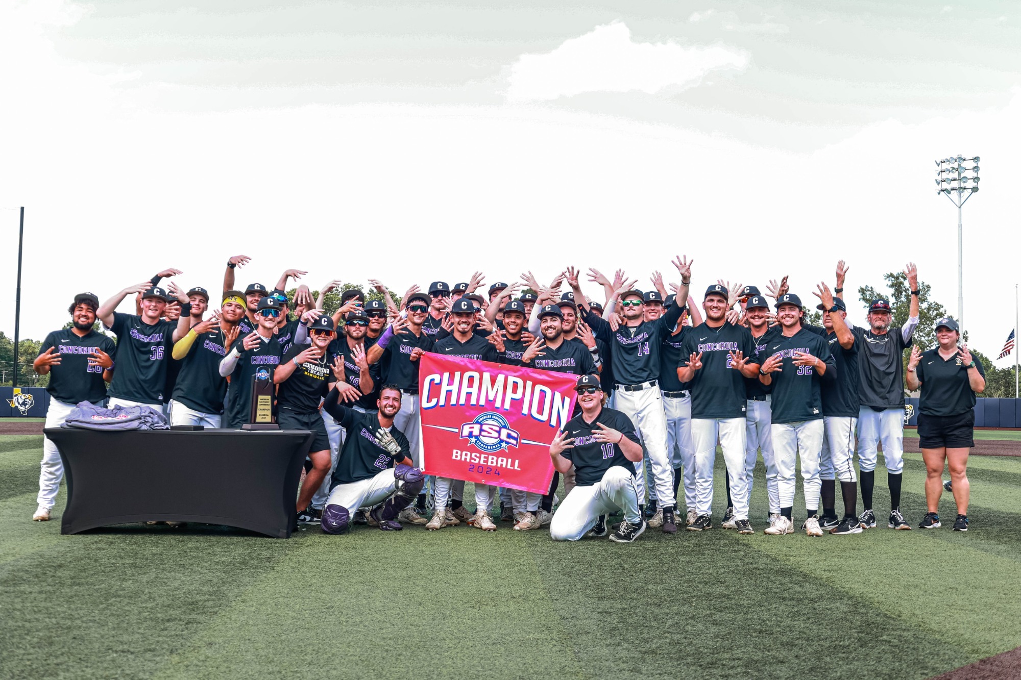 Baseball 2024 Campaign Ends at NCAA Regional - Concordia University ...