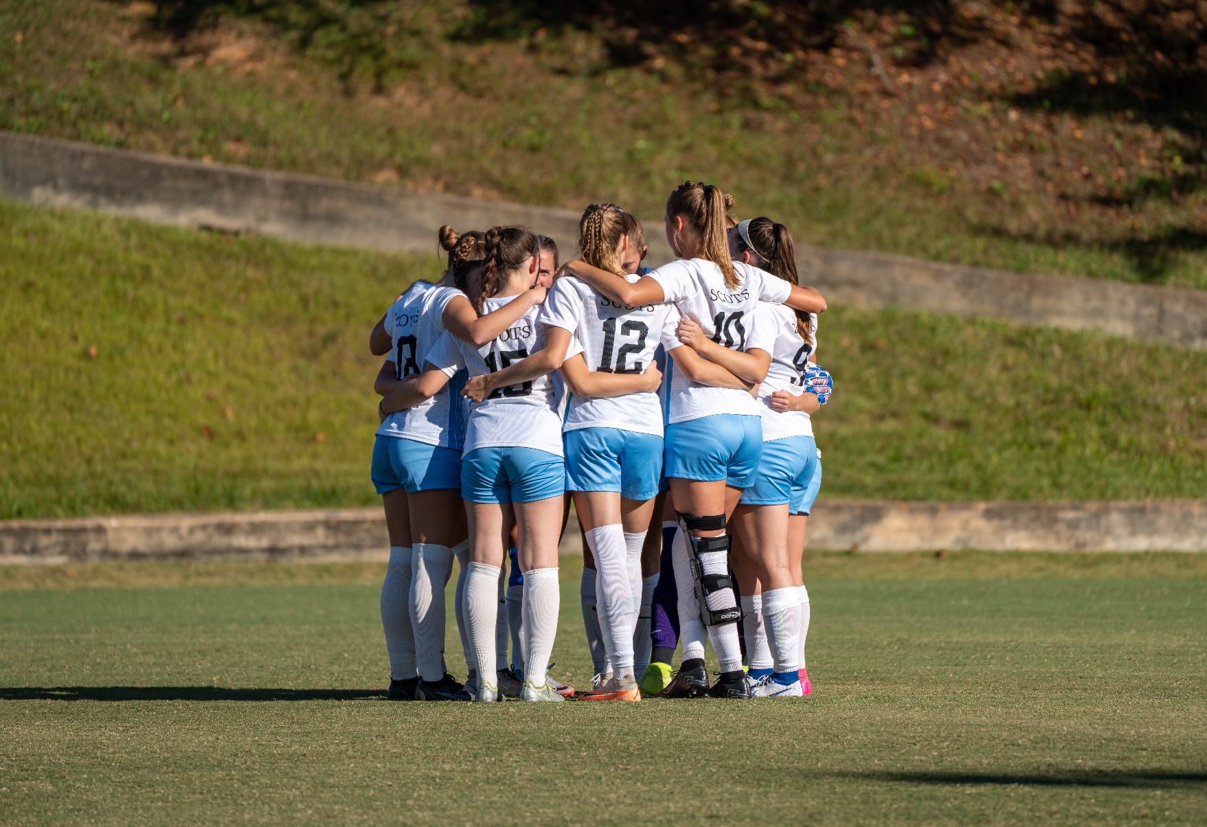 Scots Tie Lions On The Road - Covenant College