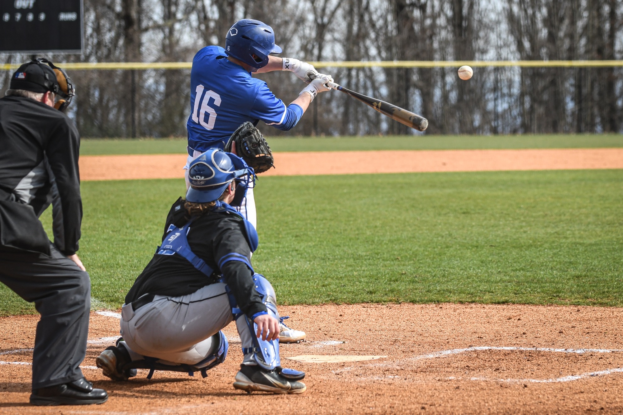 Covenant Can't Stop Berry's Bats - Covenant College