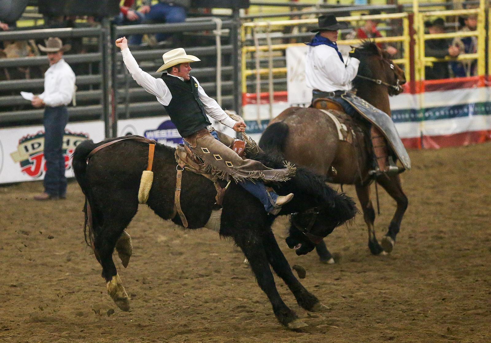 Luke Logan - Men's Rodeo - College of Southern Idaho Athletics