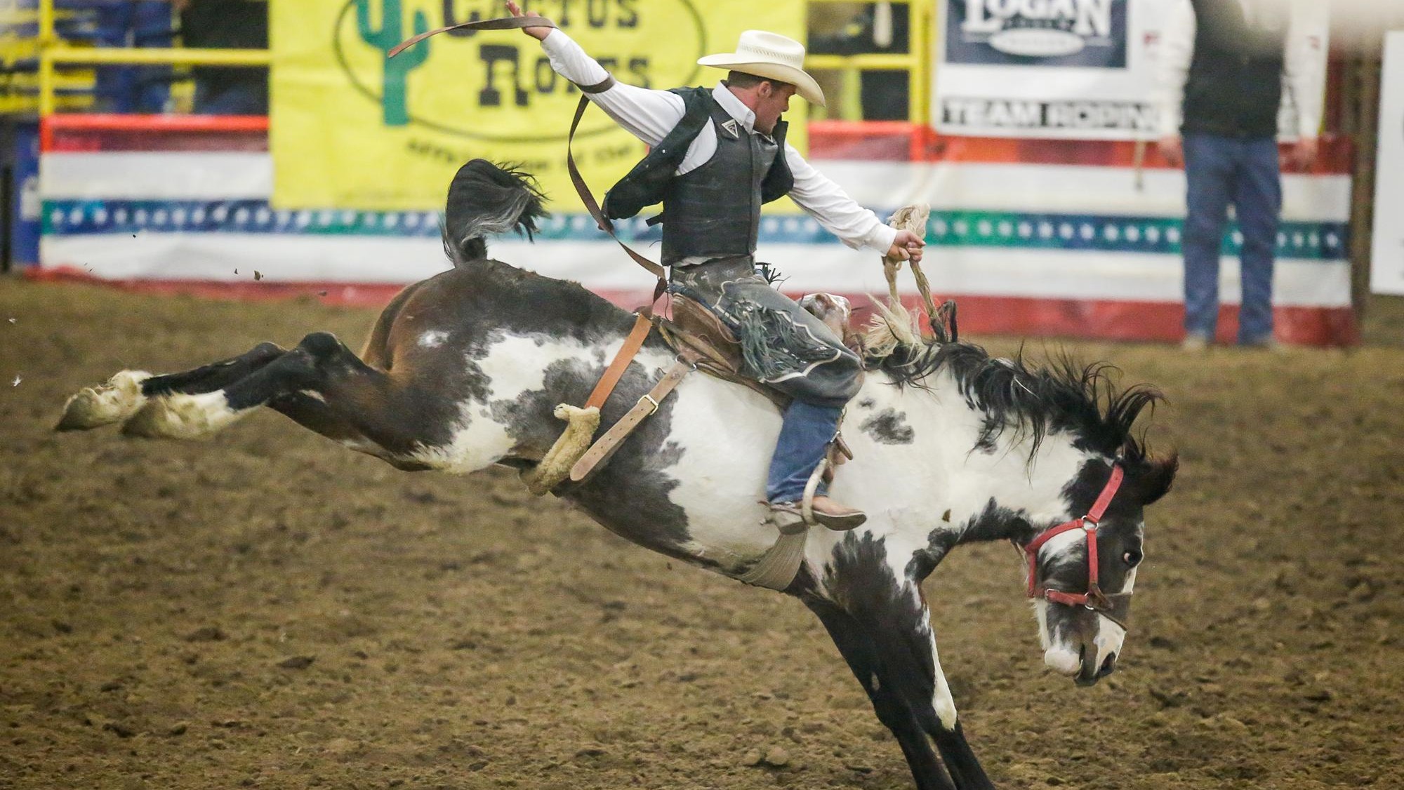 Luke Logan - Men's Rodeo - College of Southern Idaho Athletics