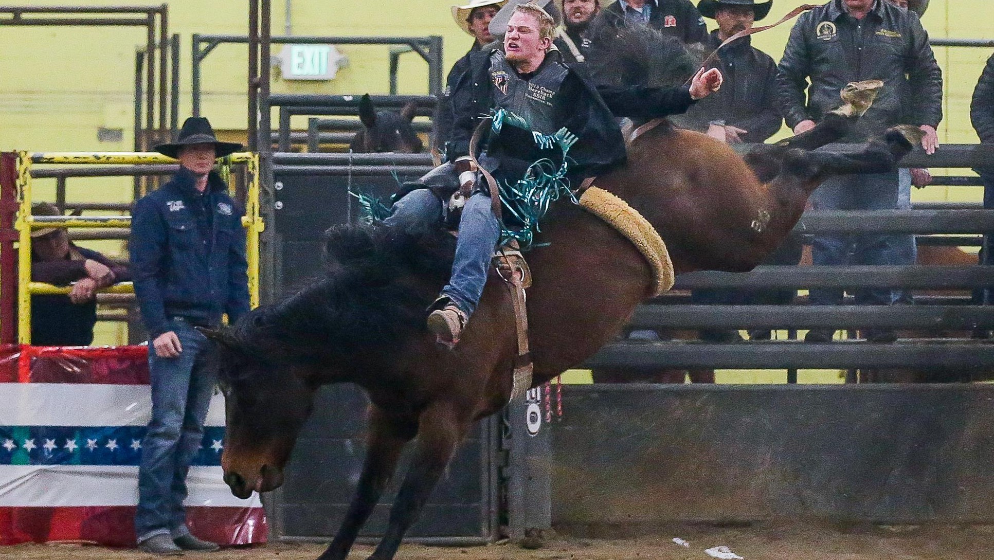 Klancy Krenka - Men's Rodeo - College of Southern Idaho Athletics
