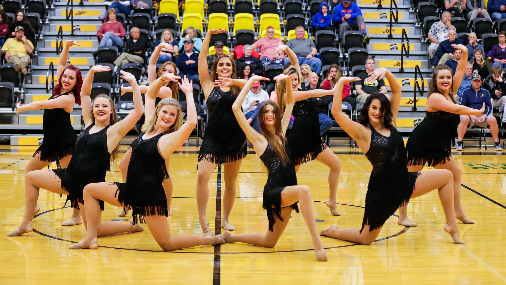 CSI Golden Girls to hold 2019-2020 team tryouts - College of Southern ...