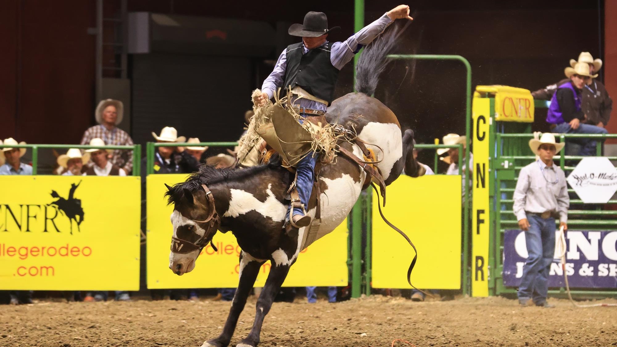 Russell Kay - Men's Rodeo - College of Southern Idaho Athletics
