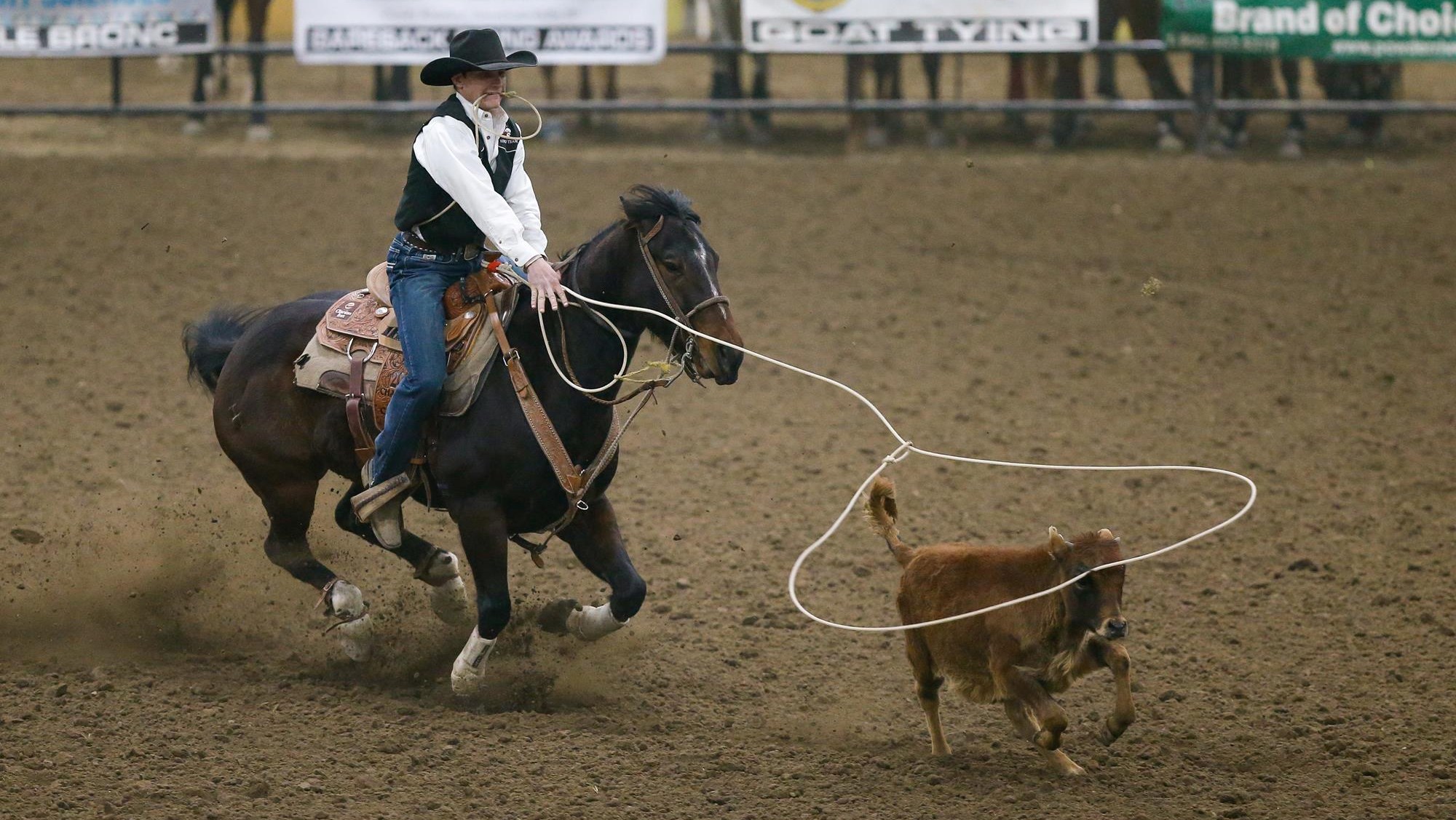 Colt Ramsey - Men's Rodeo - College of Southern Idaho Athletics