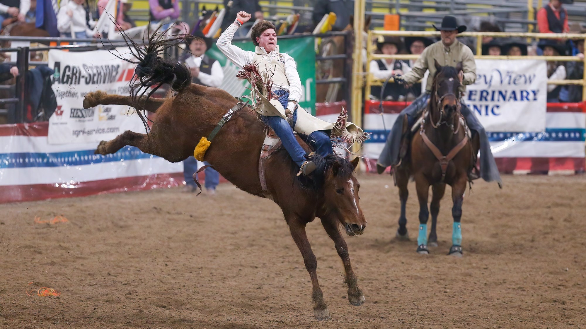 Darien Johnson - Men's Rodeo - College of Southern Idaho Athletics