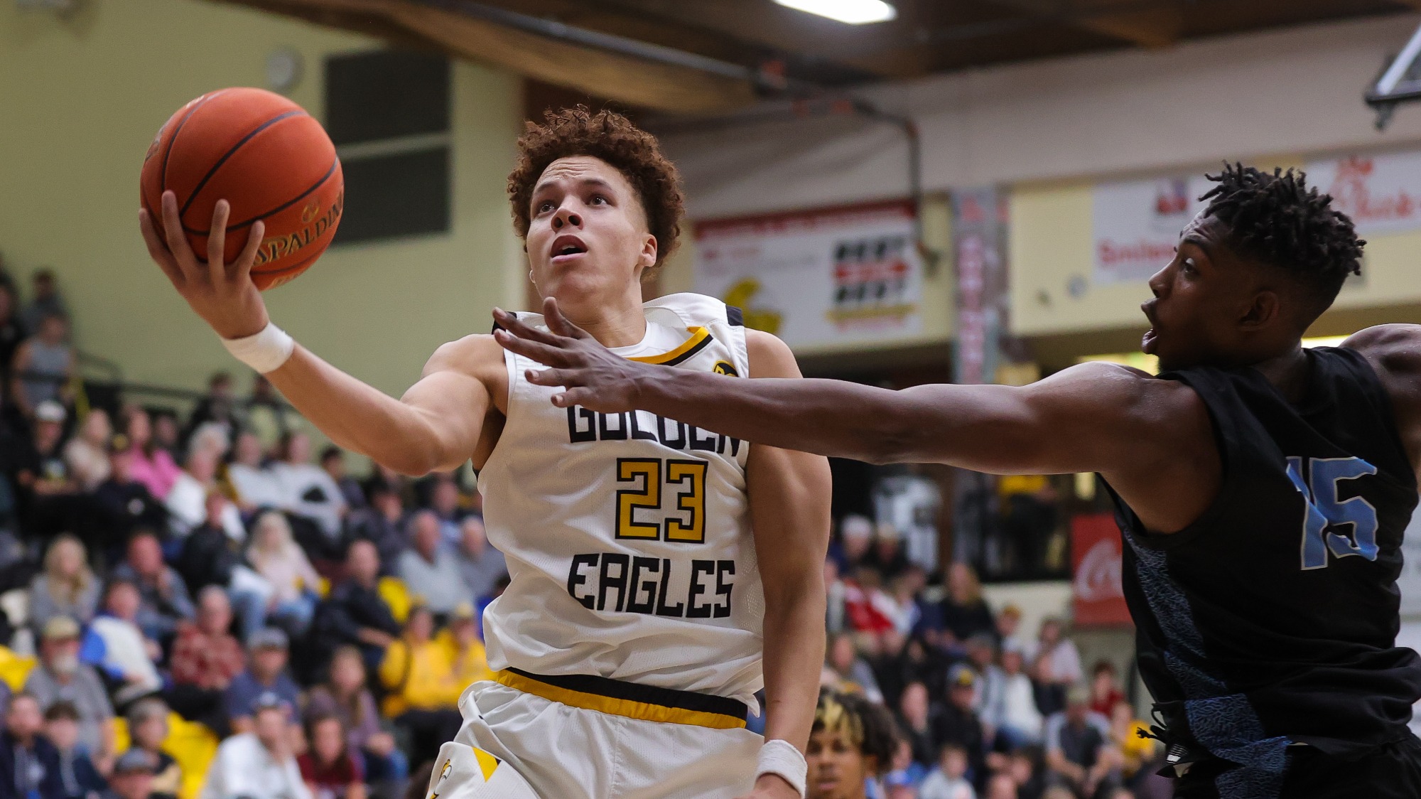 Nate Meithof - Men's Basketball - College of Southern Idaho Athletics