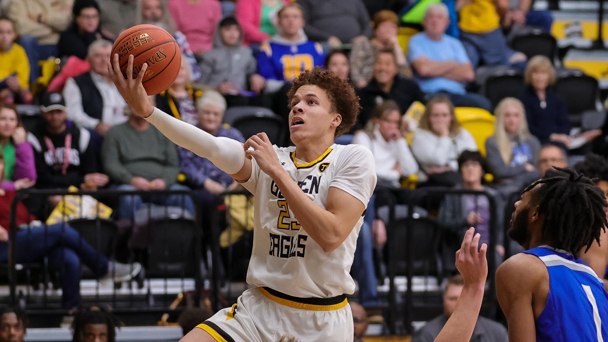 Nate Meithof - Men's Basketball - College of Southern Idaho Athletics