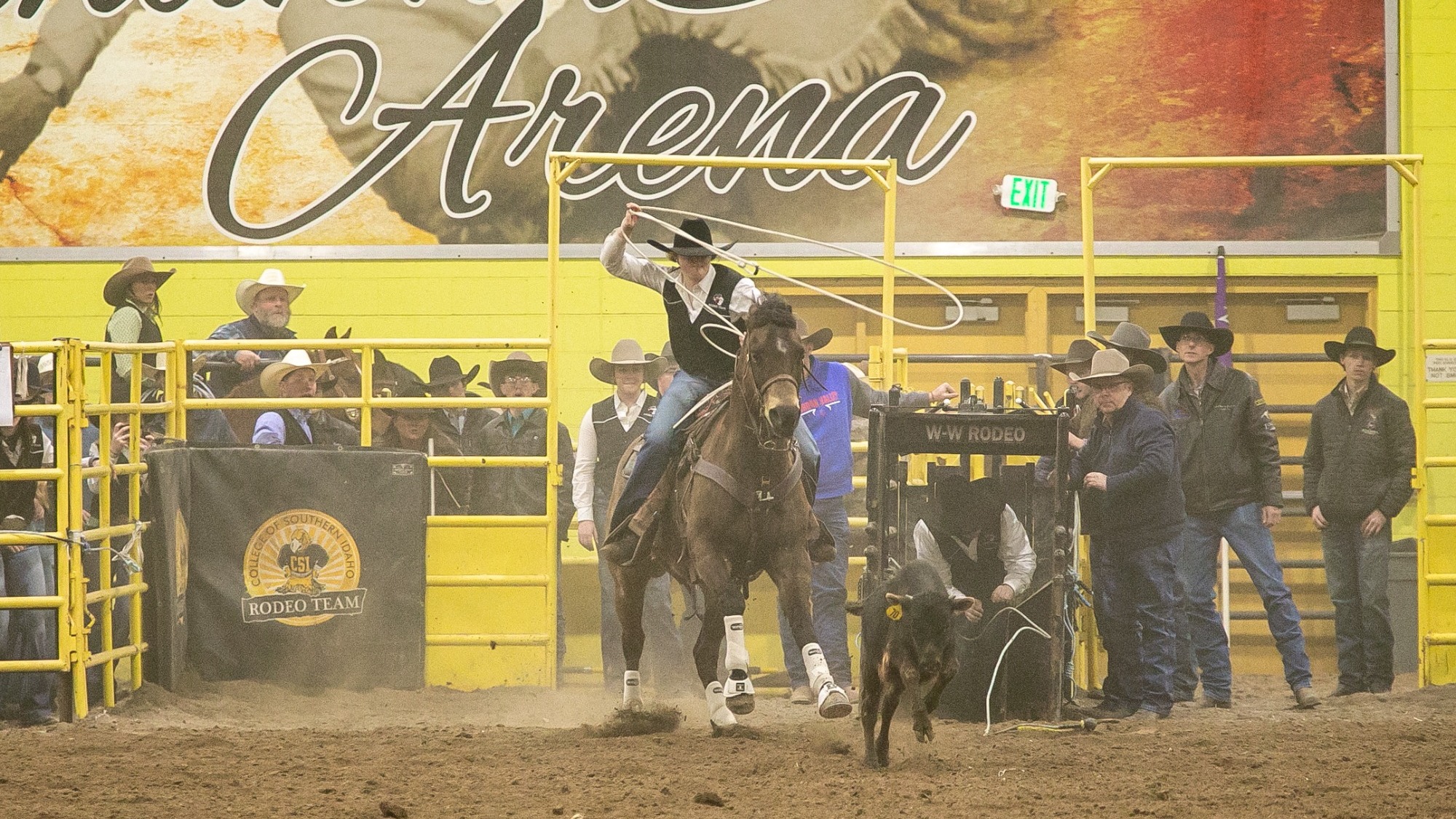 Raegan Steed - Women's Rodeo - College of Southern Idaho Athletics