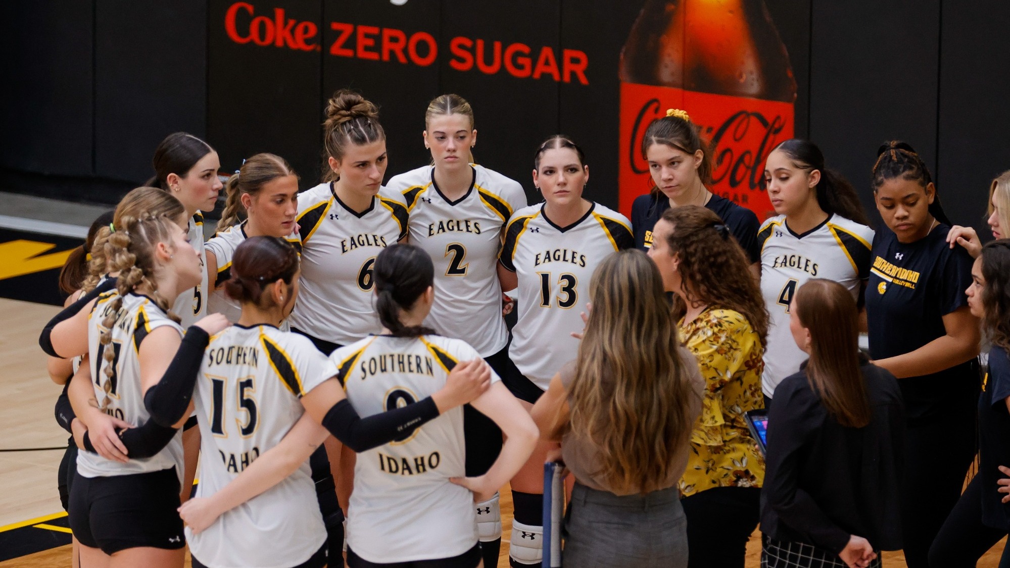 CSI announces Andria Harshman as interim head volleyball coach ...