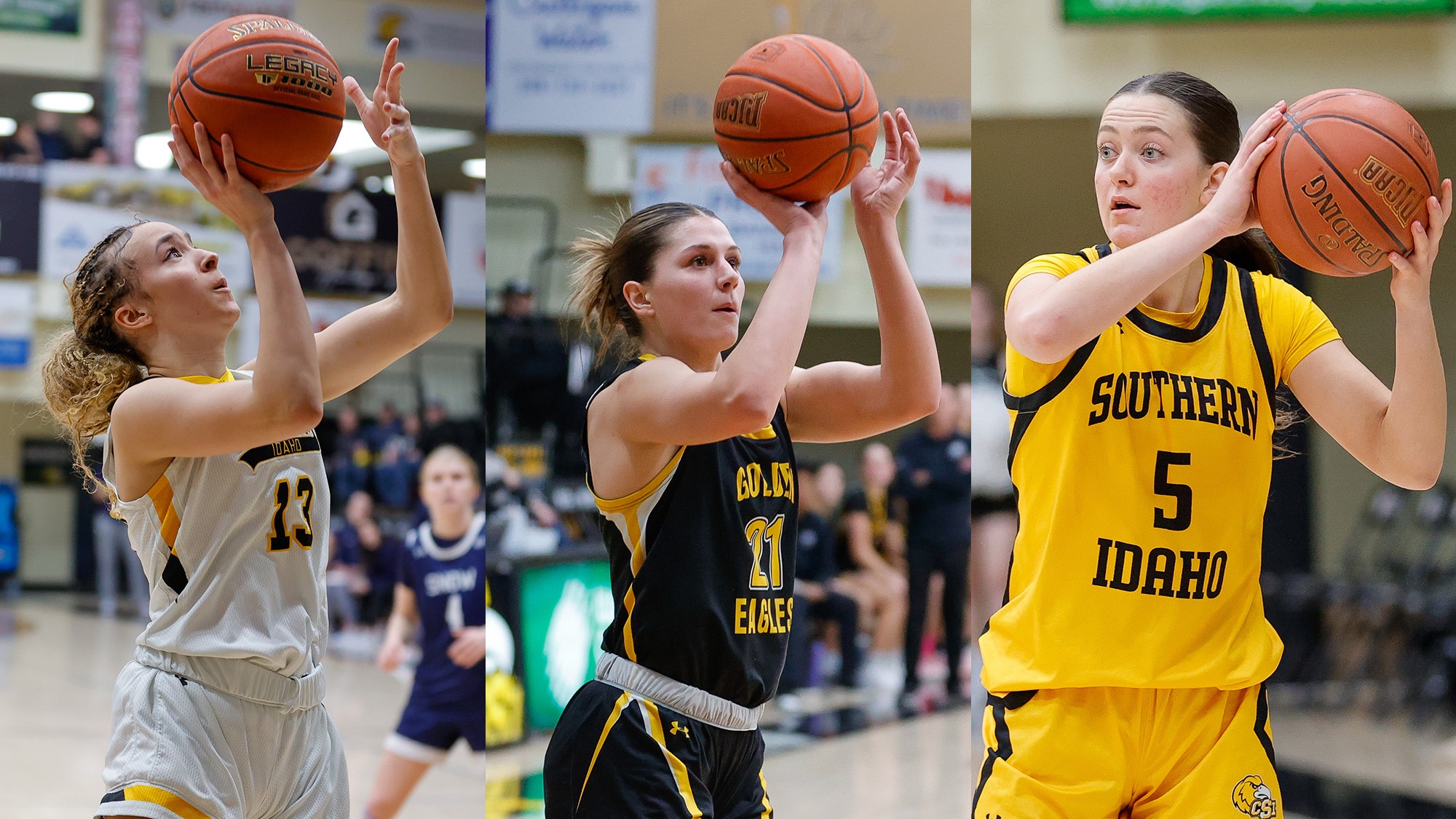 CSI set to host Region 18 Women's Basketball Tournament - College of ...