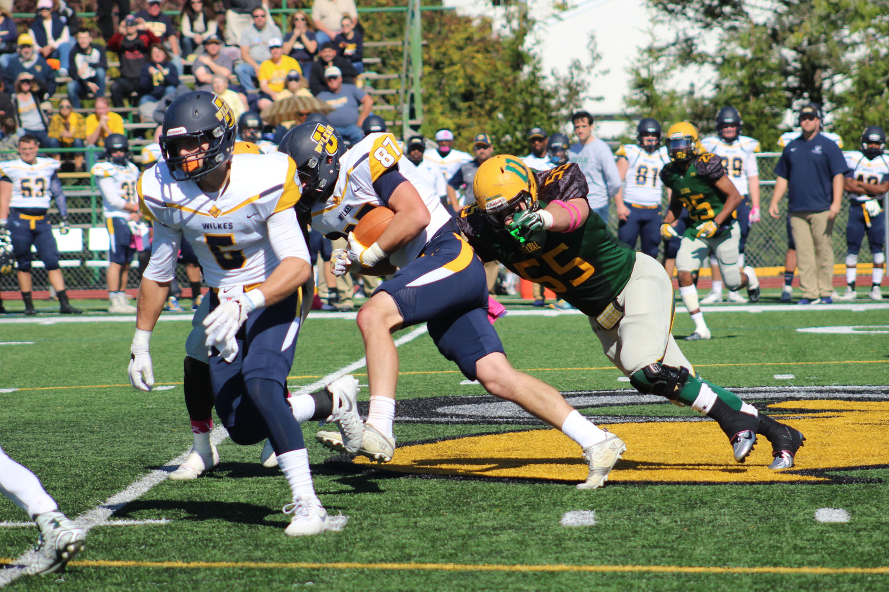 Nicholas DiGati - Football - Delaware Valley University Athletics