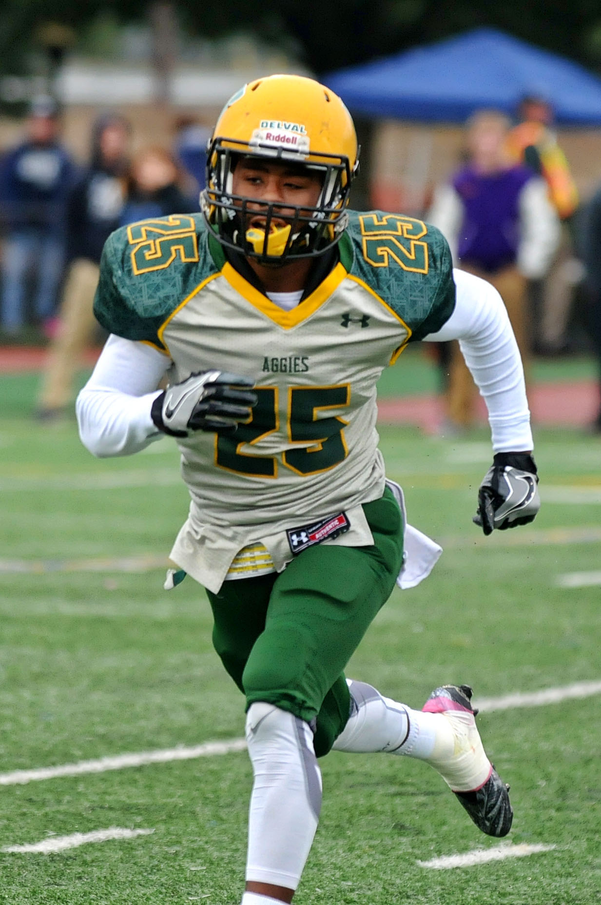 Jalen Mayes - Football - Delaware Valley University Athletics