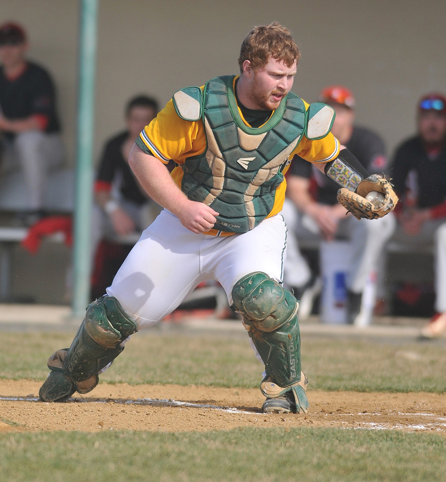 Corey White - Baseball - Delaware Valley University Athletics