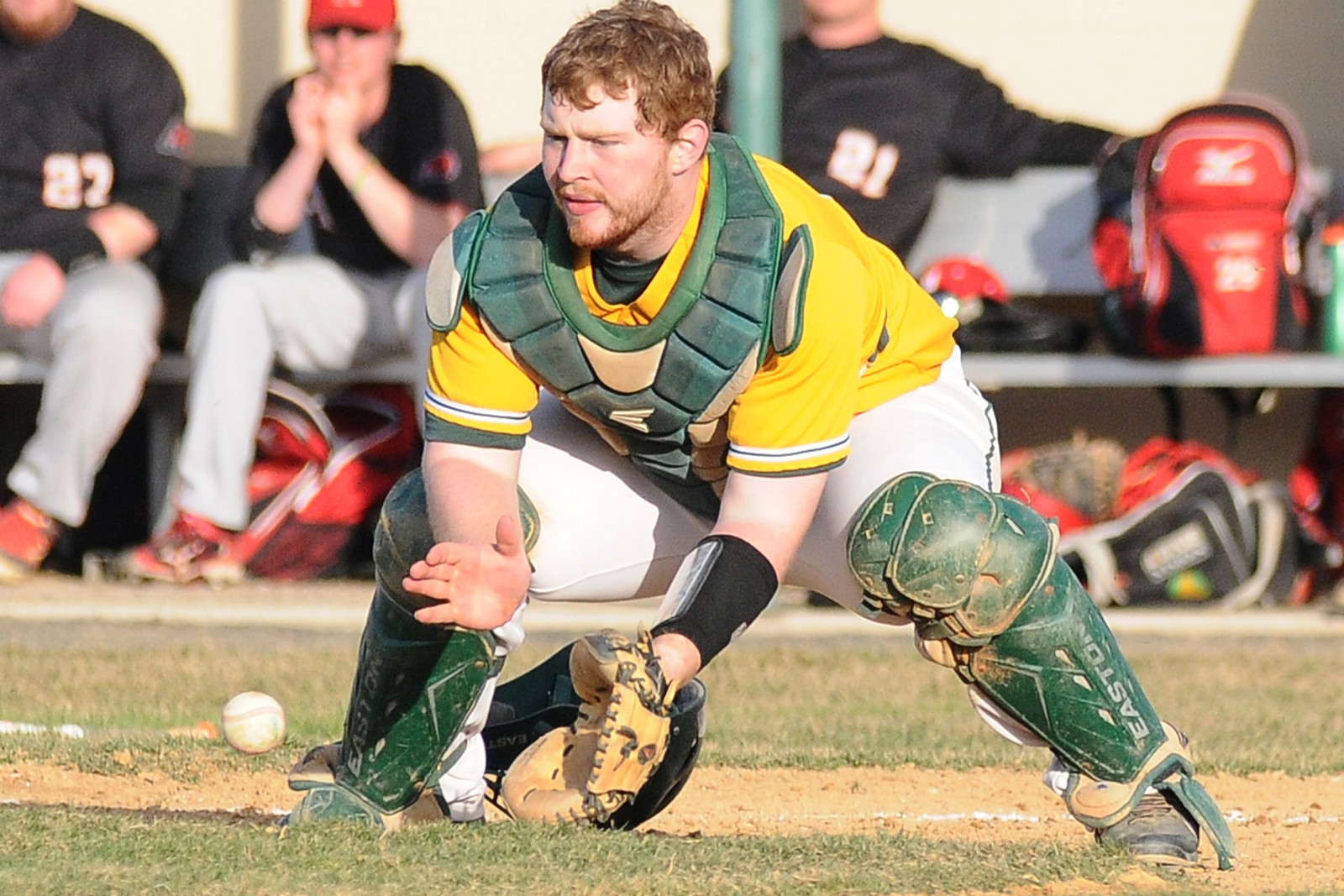 Corey White - Baseball - Delaware Valley University Athletics