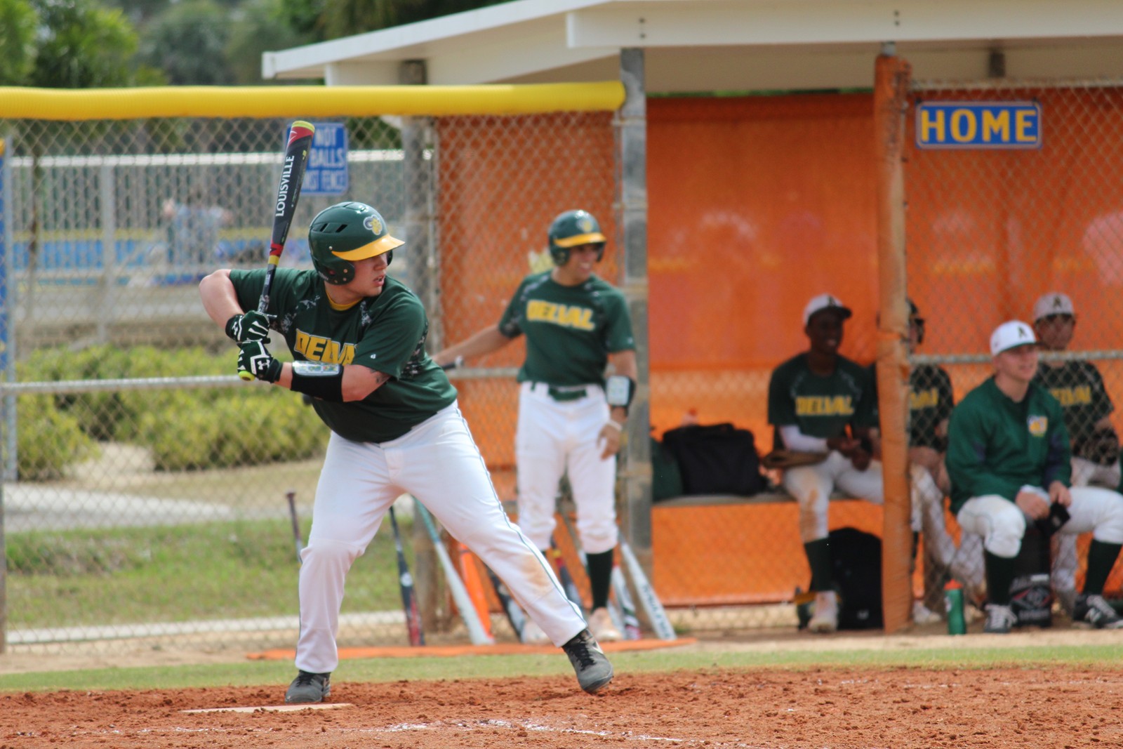 Chris George - Baseball - Delaware Valley University Athletics