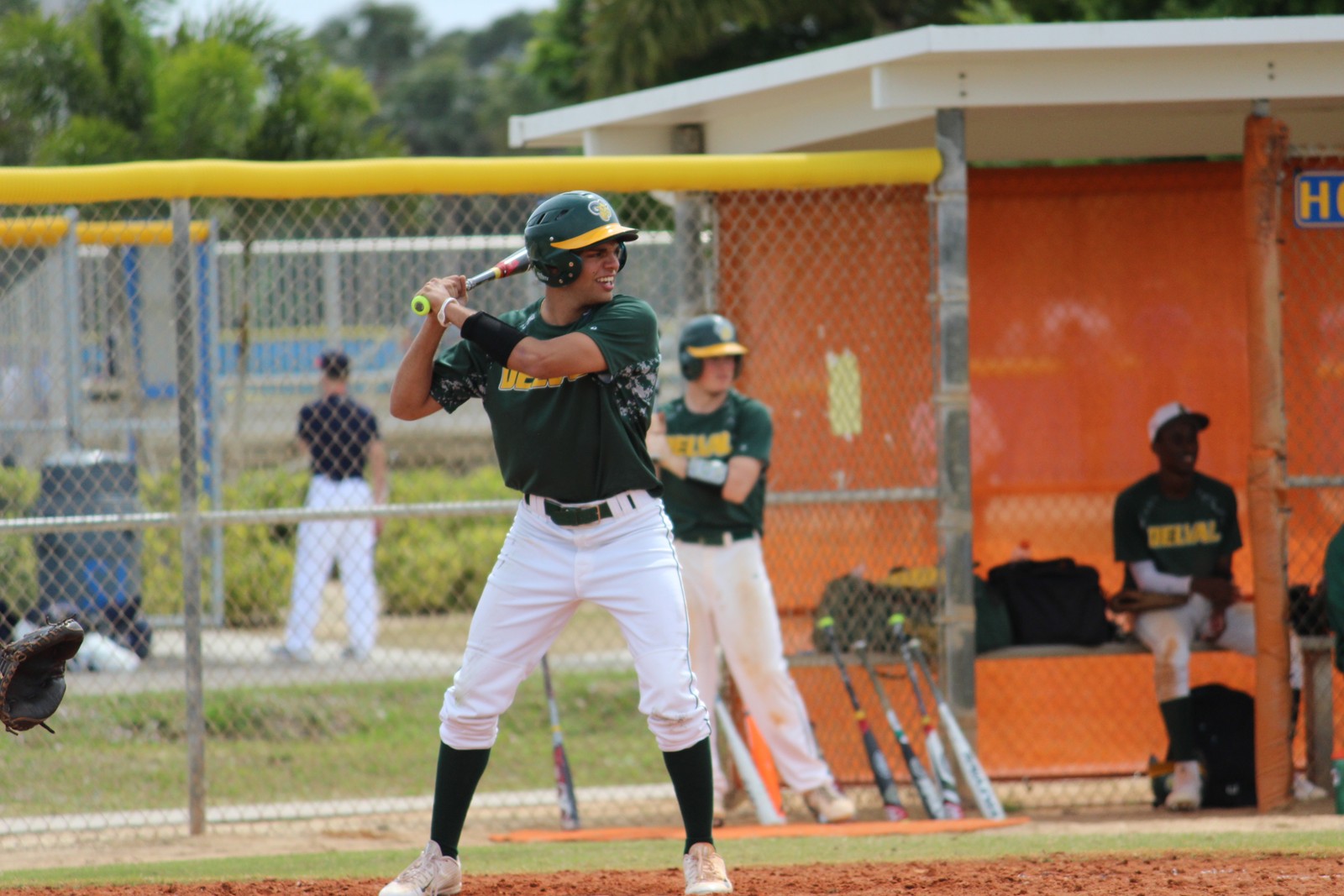 Will Wells - Baseball - Delaware Valley University Athletics