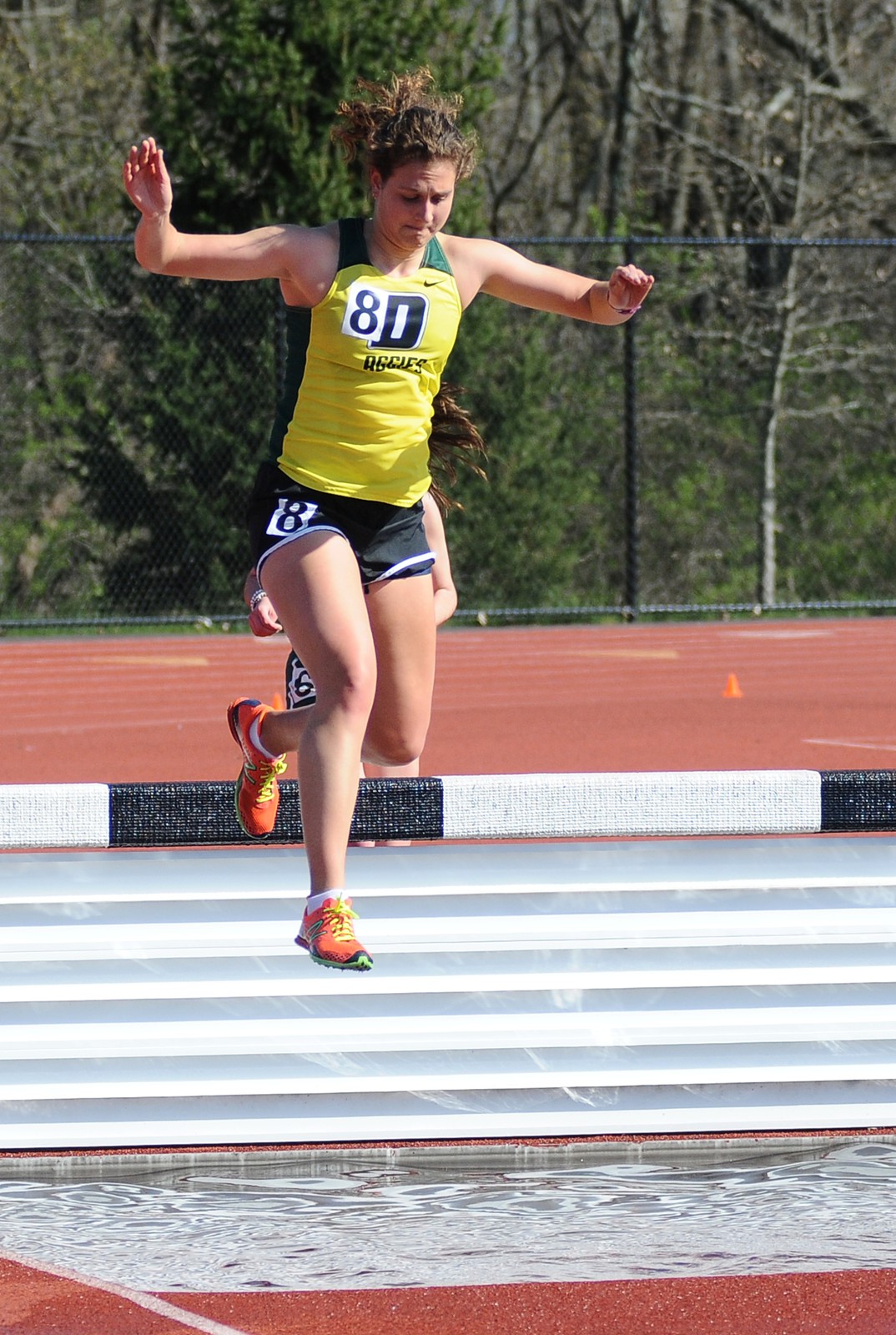 Sara Chamberlain - Women's Track and Field - Delaware Valley University ...