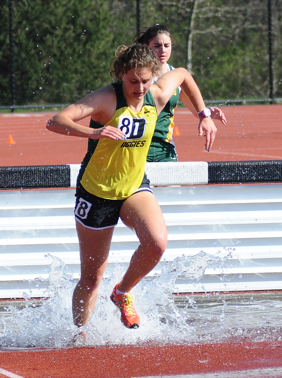 Sara Chamberlain - Women's Track and Field - Delaware Valley University ...