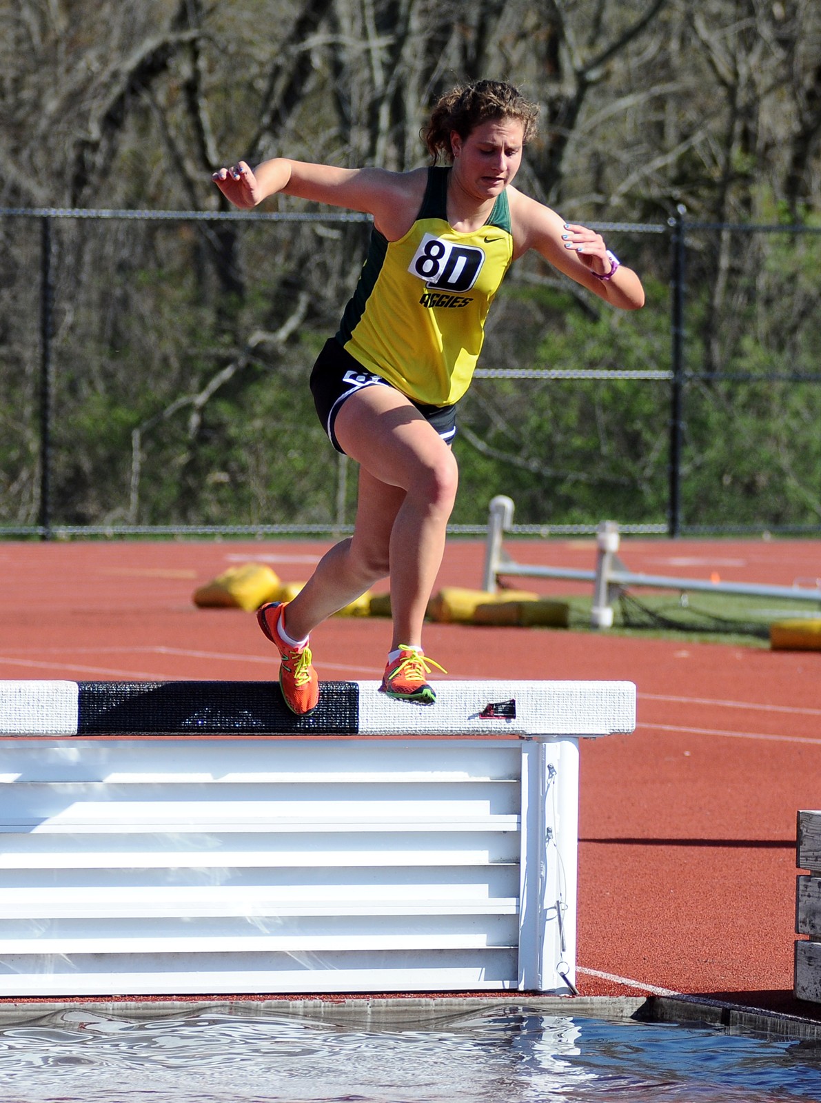 Sara Chamberlain - Women's Track and Field - Delaware Valley University ...