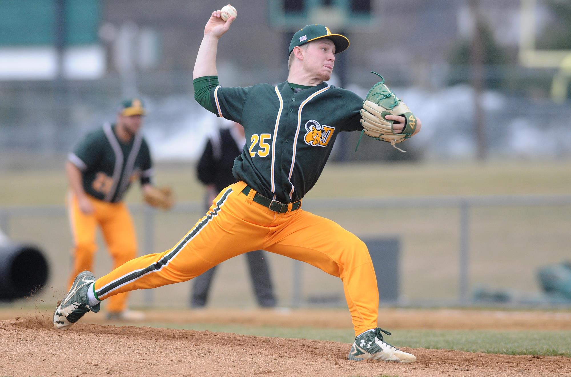 Jeremy Hefele - Baseball - Delaware Valley University Athletics