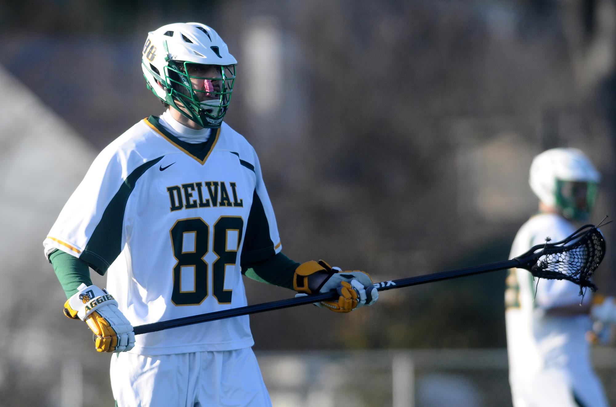 Alex Hardy - Men's Lacrosse - Delaware Valley University Athletics