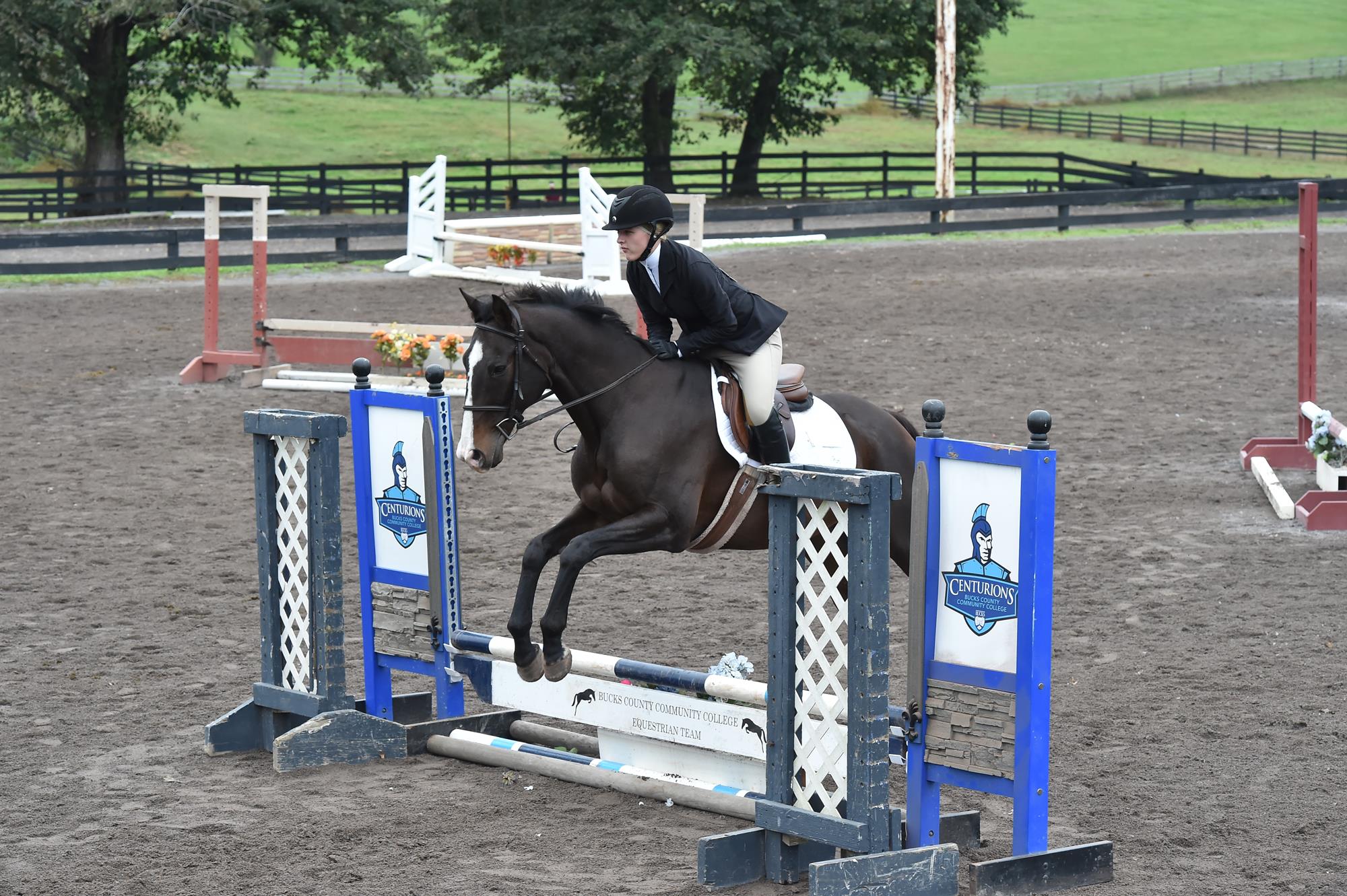 Aggie Hunt Seat Ties For First At Weekend Event - Delaware Valley ...