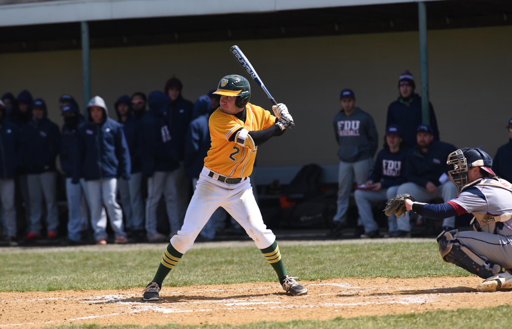 Timmy Lallis - Baseball - Delaware Valley University Athletics