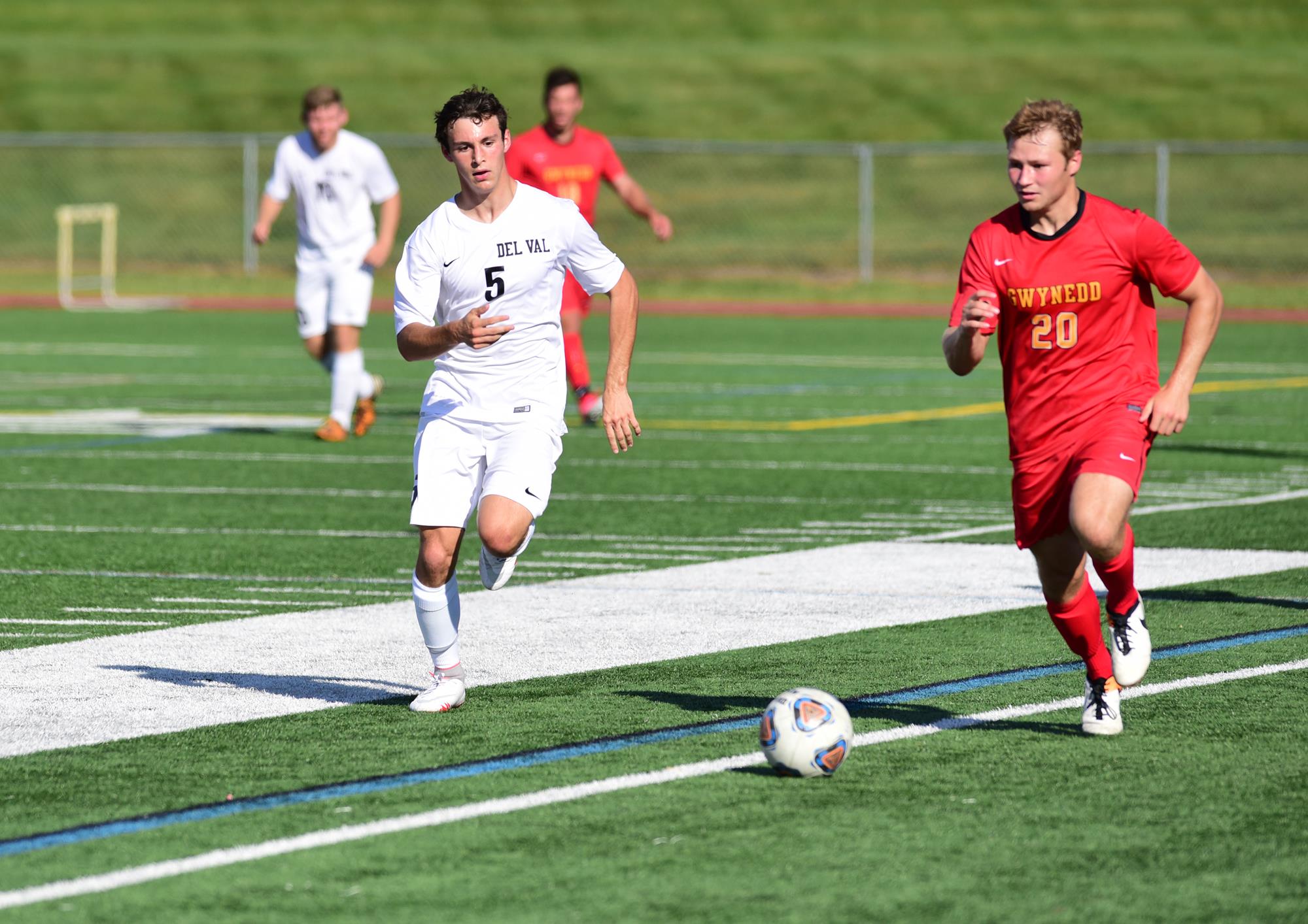 Ryan Dengler - Men's Soccer - Delaware Valley University Athletics