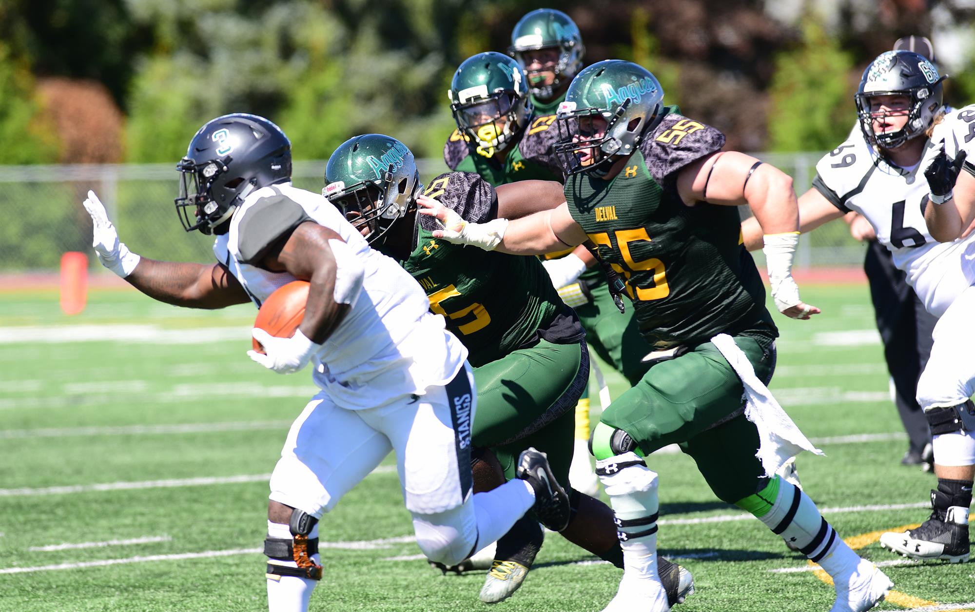 Nicholas DiGati - Football - Delaware Valley University Athletics