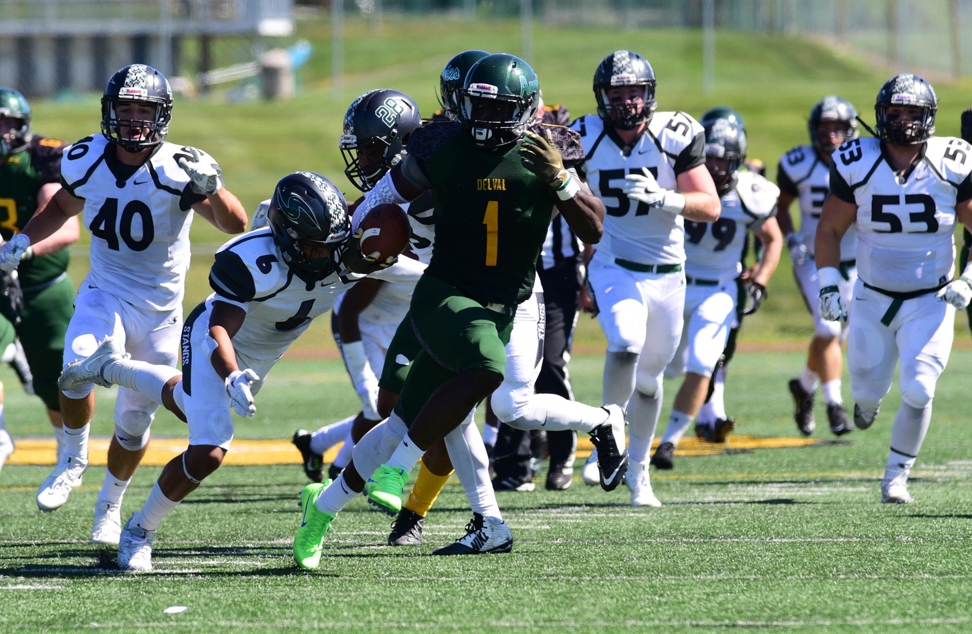 Devauntay Ellis - Football - Delaware Valley University Athletics