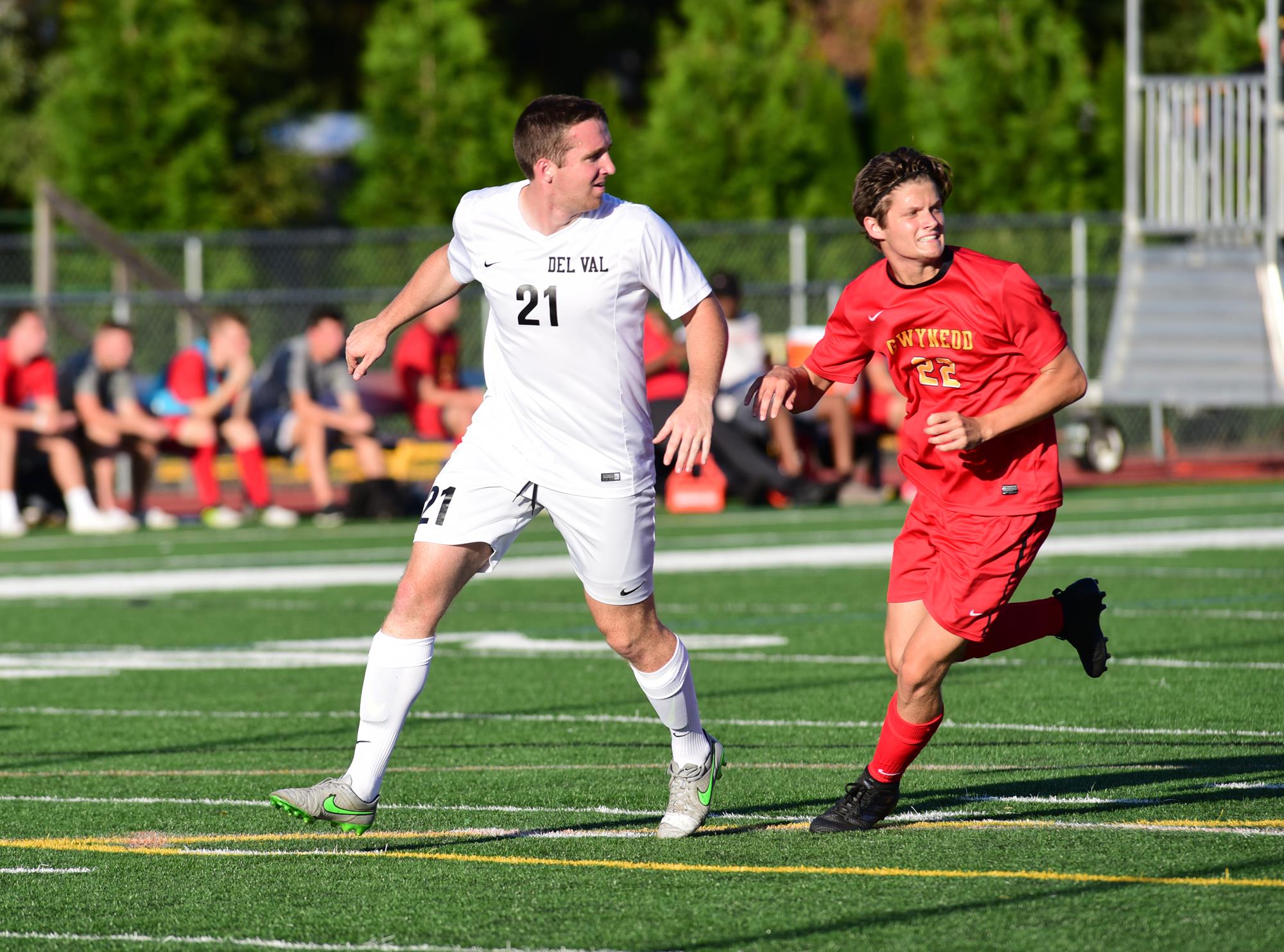 Ryan Mancini - Men's Soccer - Delaware Valley University Athletics