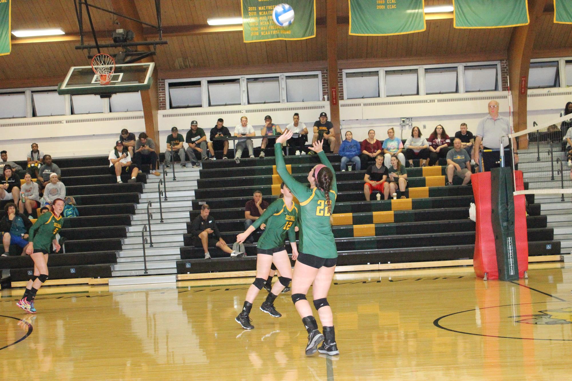 Danielle McKelvey - Women's Volleyball - Delaware Valley University ...