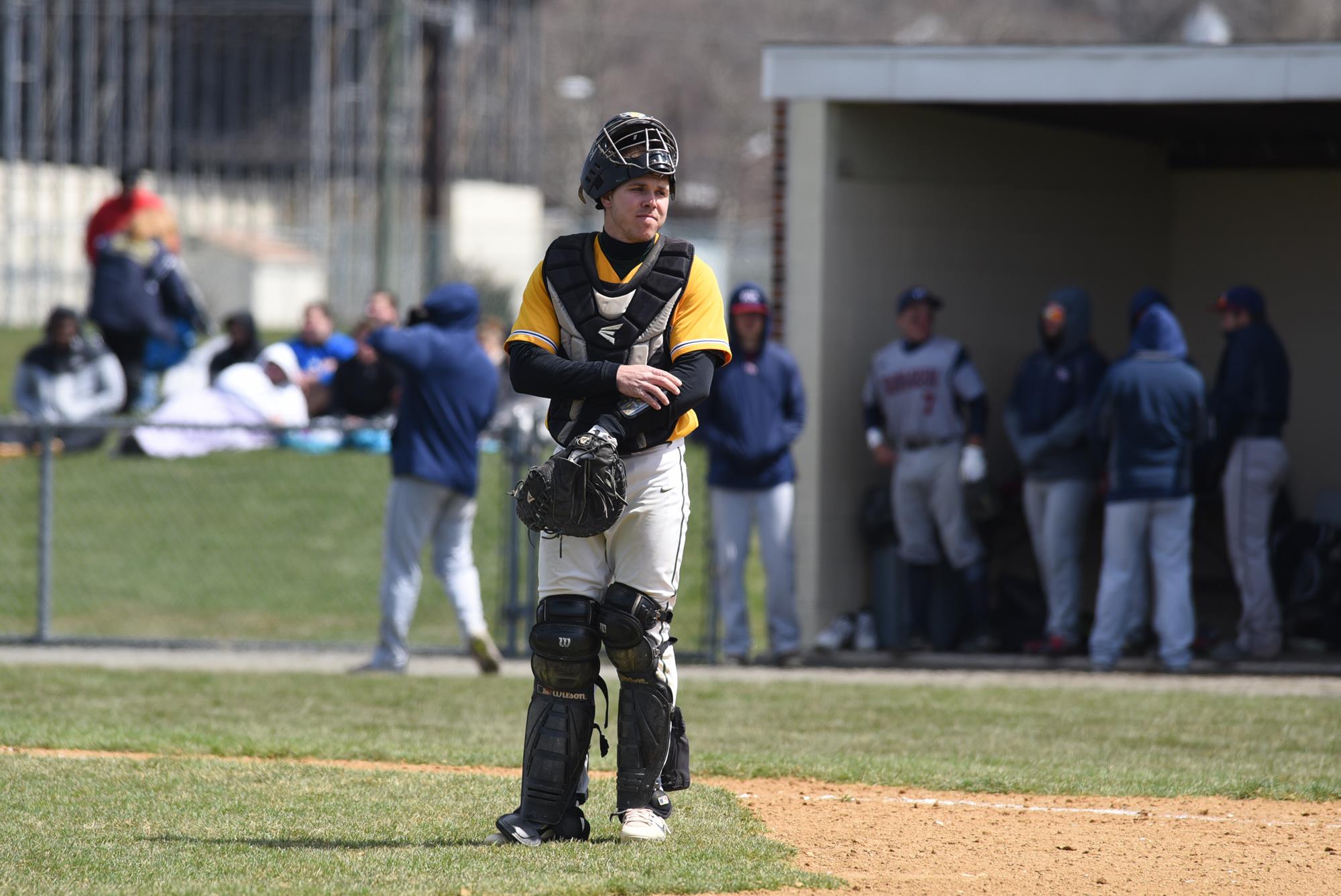 Sammy Amos - Baseball - Delaware Valley University Athletics