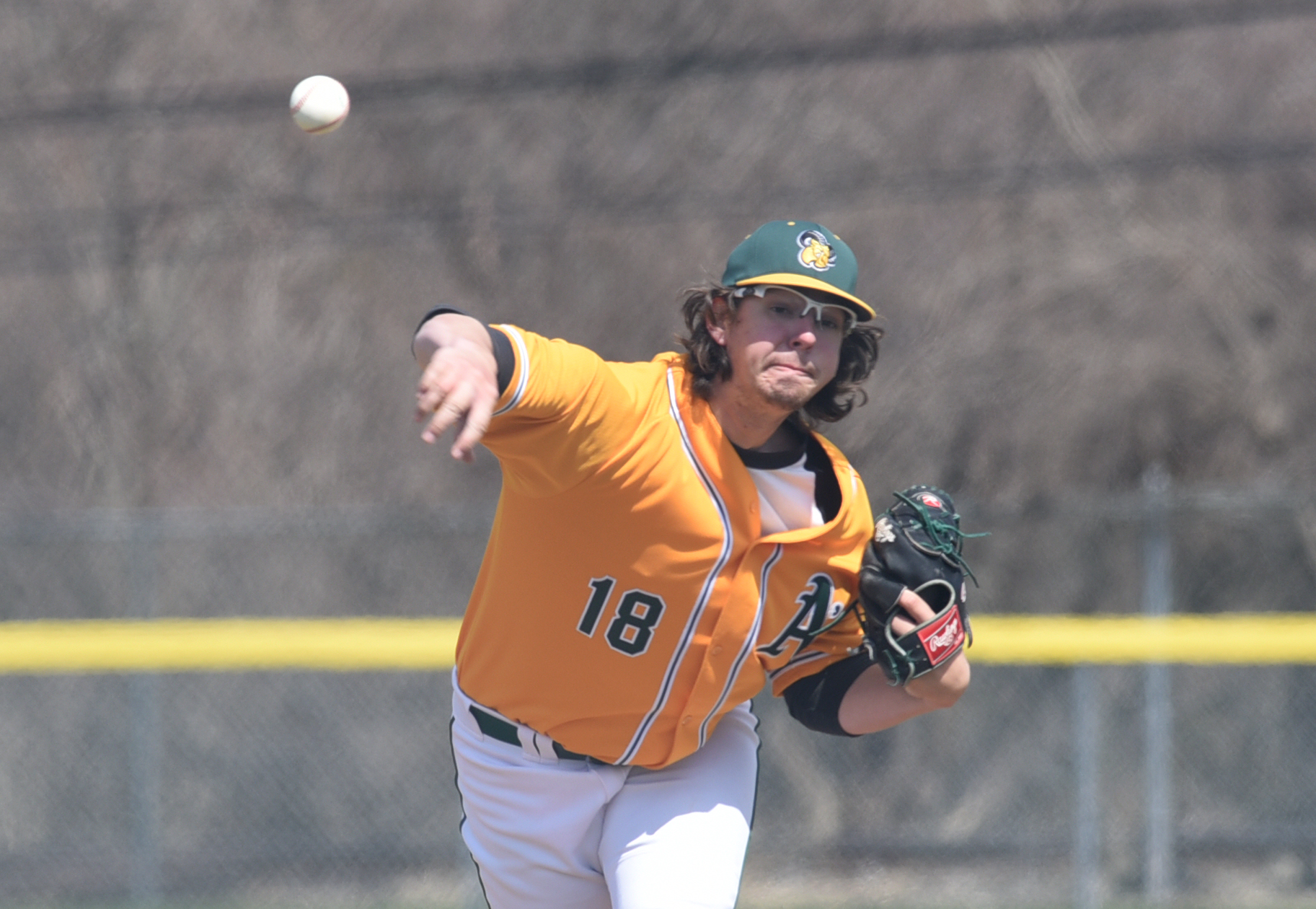 Cal Endy - Baseball - Delaware Valley University Athletics