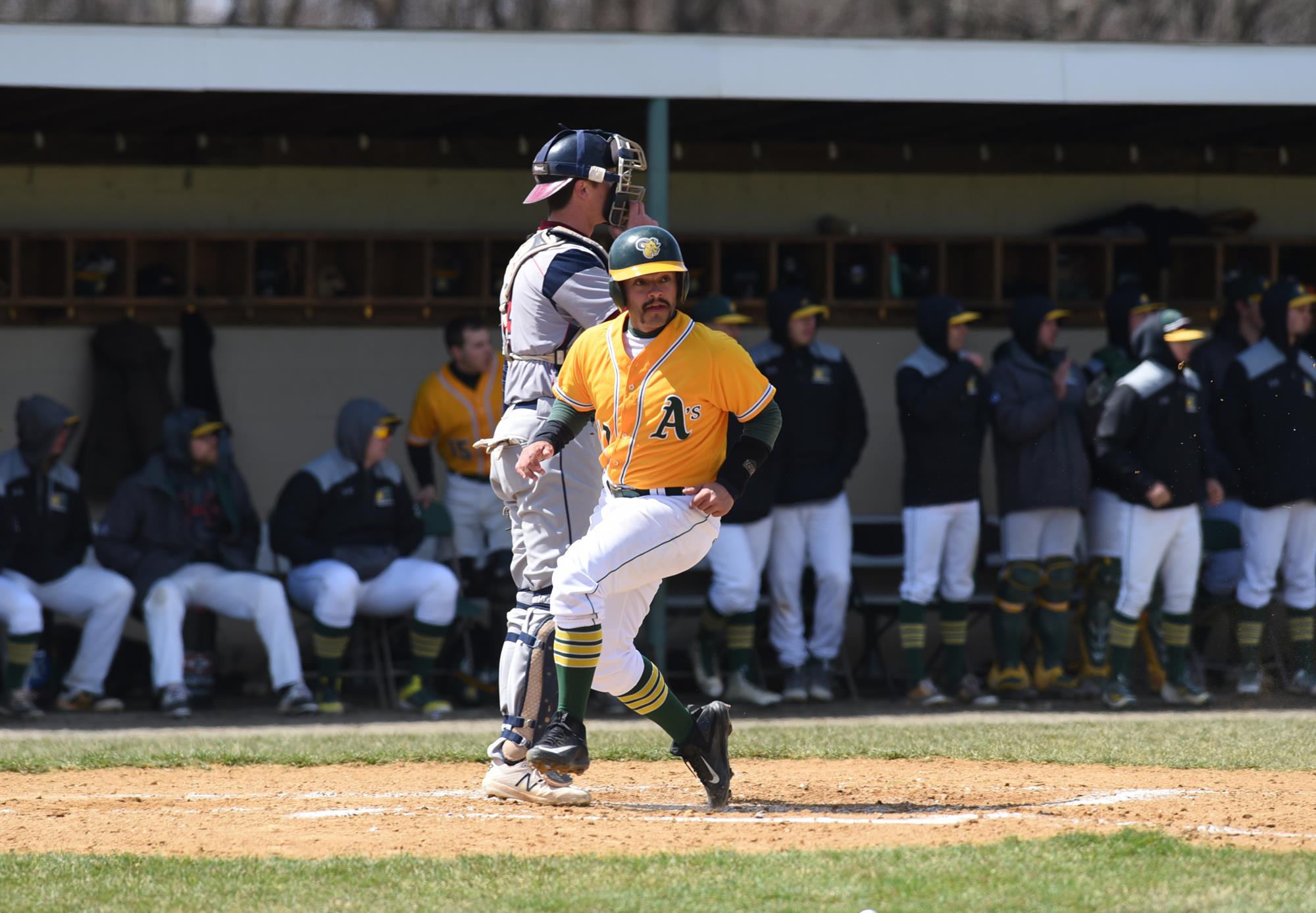 Ben Lippincott - Baseball - Delaware Valley University Athletics