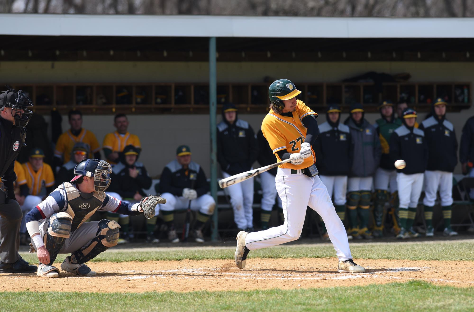Trevor Mussleman - Baseball - Delaware Valley University Athletics