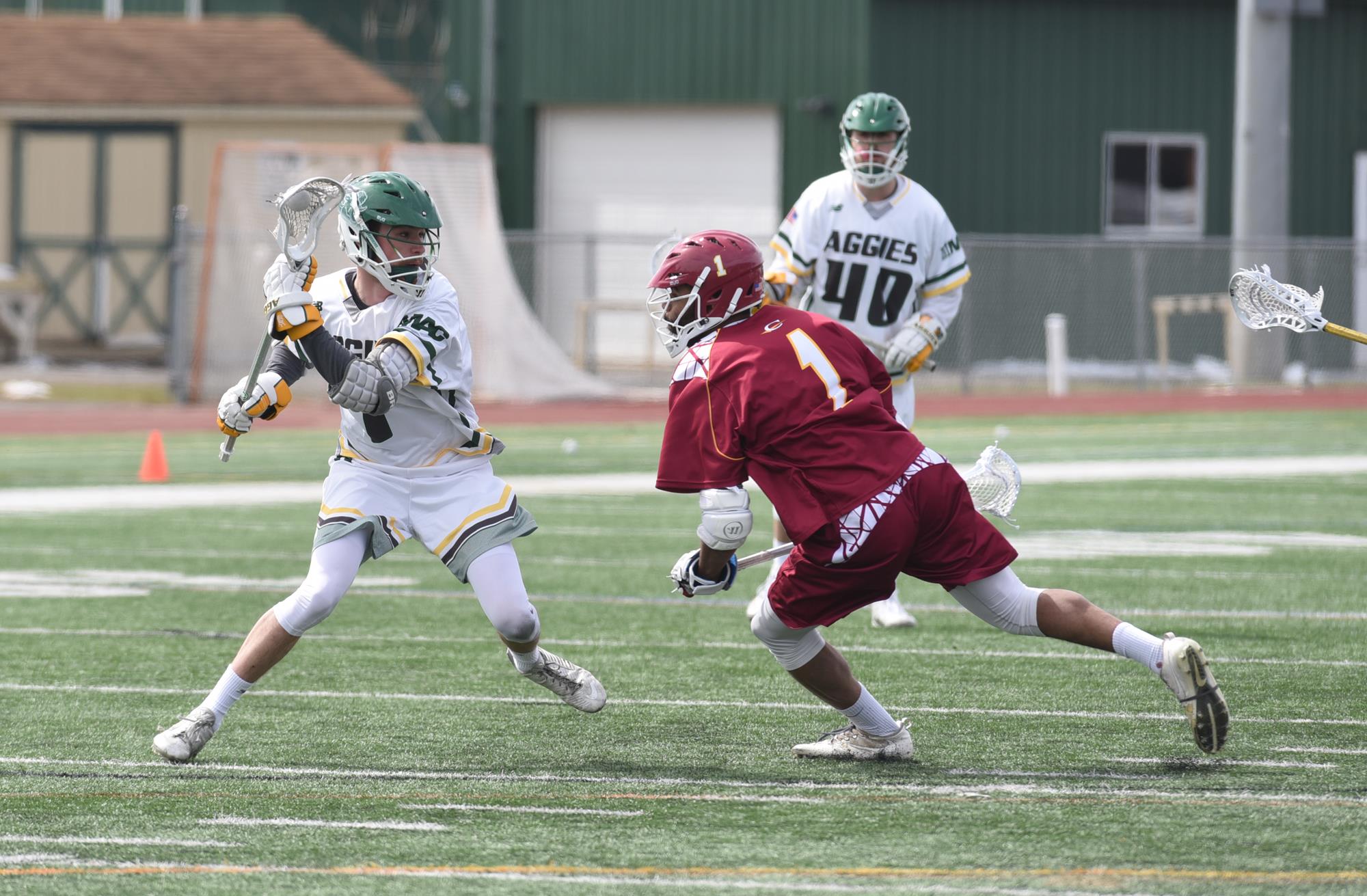 PJ Rafferty - Men's Lacrosse - Delaware Valley University Athletics