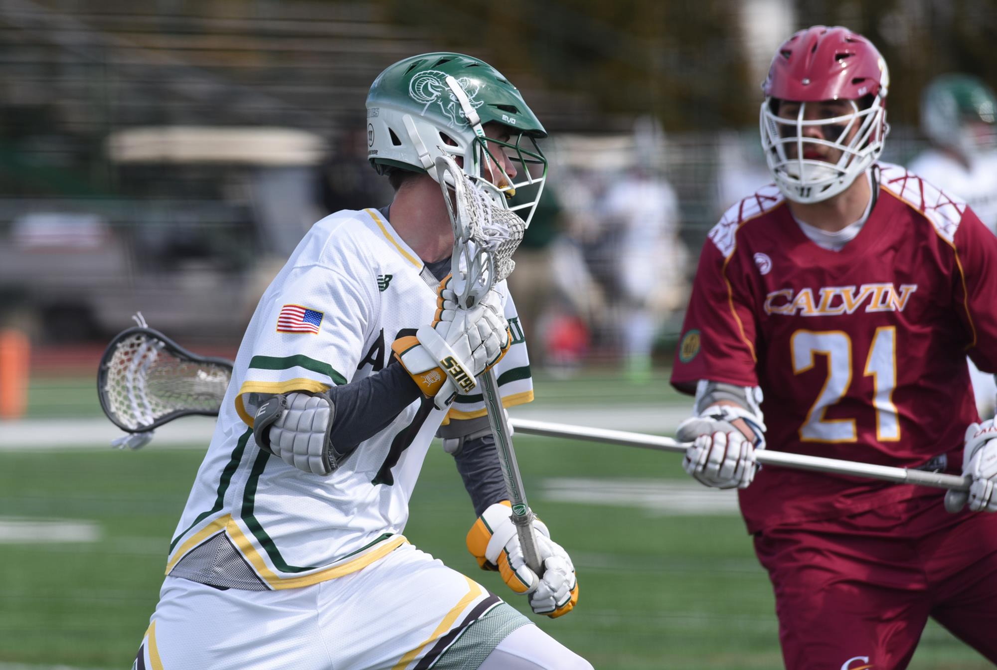 PJ Rafferty - Men's Lacrosse - Delaware Valley University Athletics