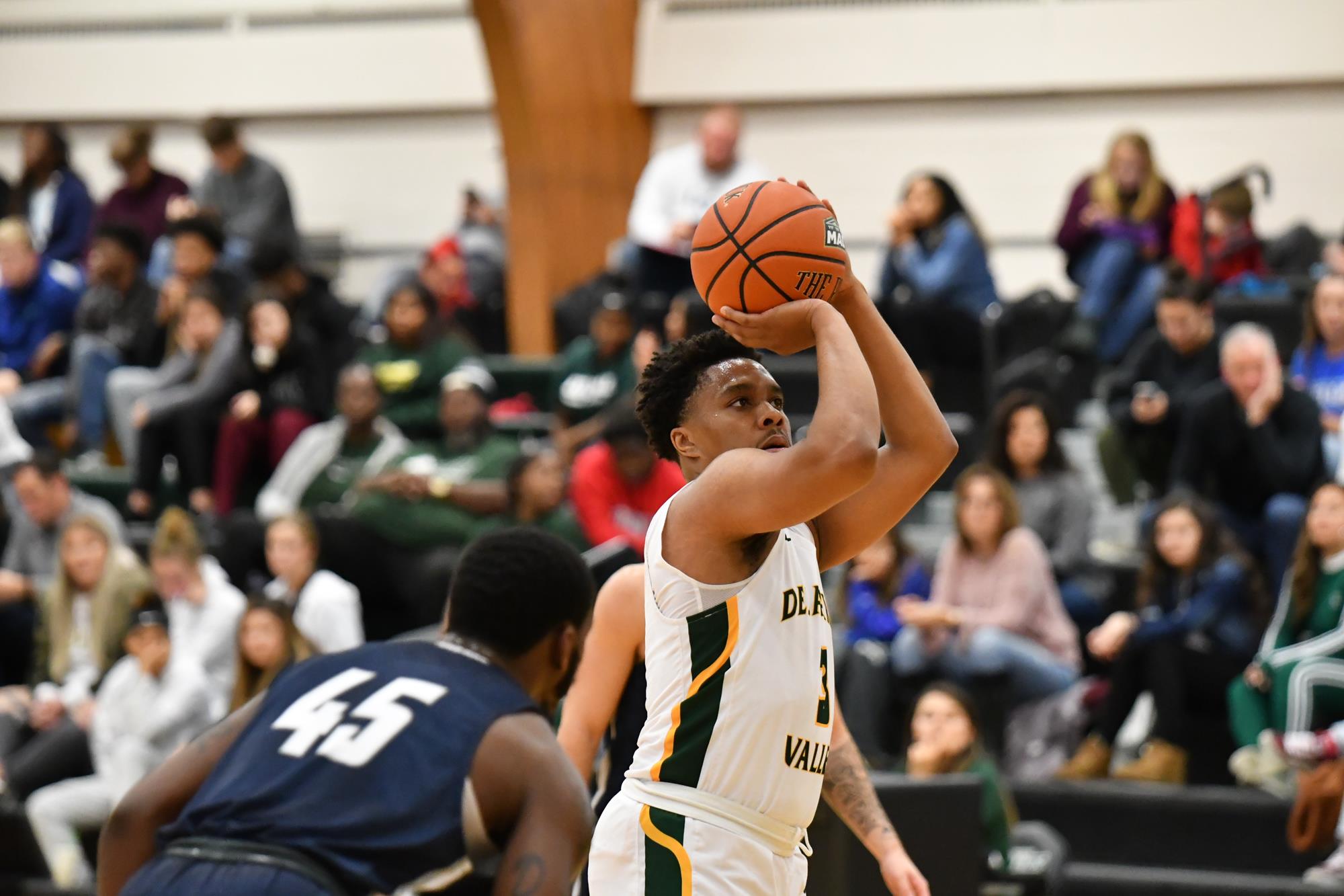 Devin Hill - Men's Basketball - Delaware Valley University Athletics