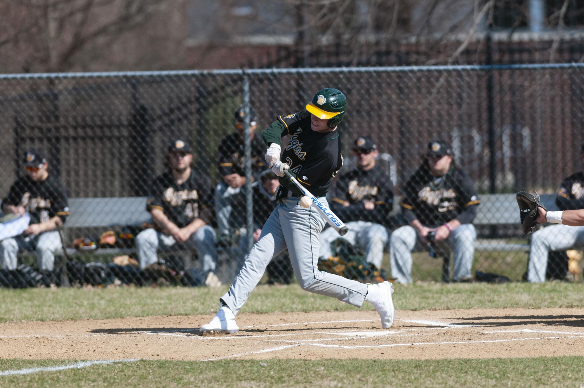 Tom Crooks - Baseball - Delaware Valley University Athletics