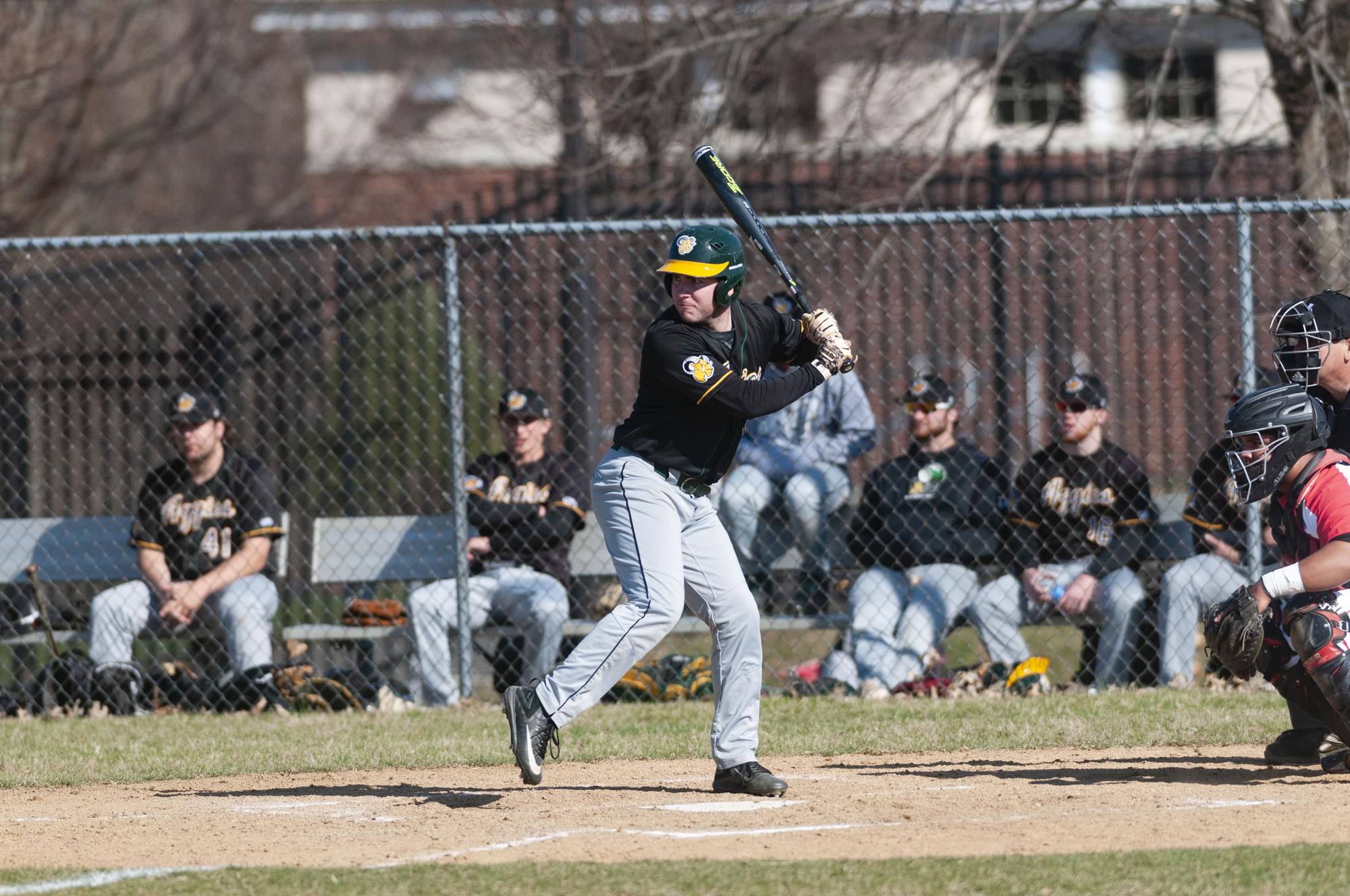 Timmy Lallis - Baseball - Delaware Valley University Athletics