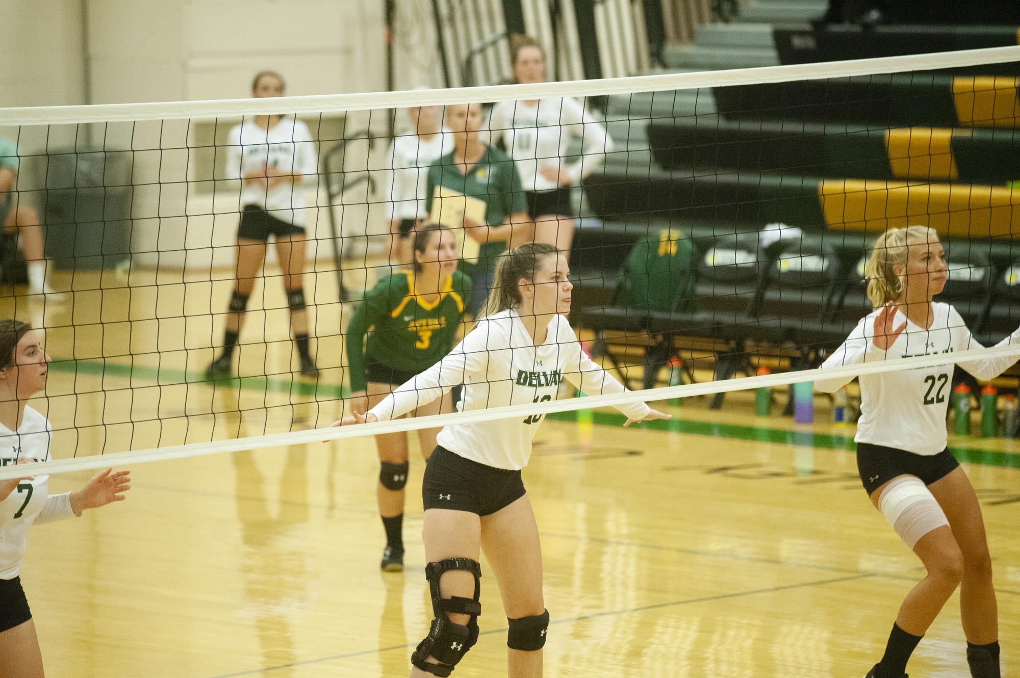 Reilly Green - Women's Volleyball - Delaware Valley University Athletics