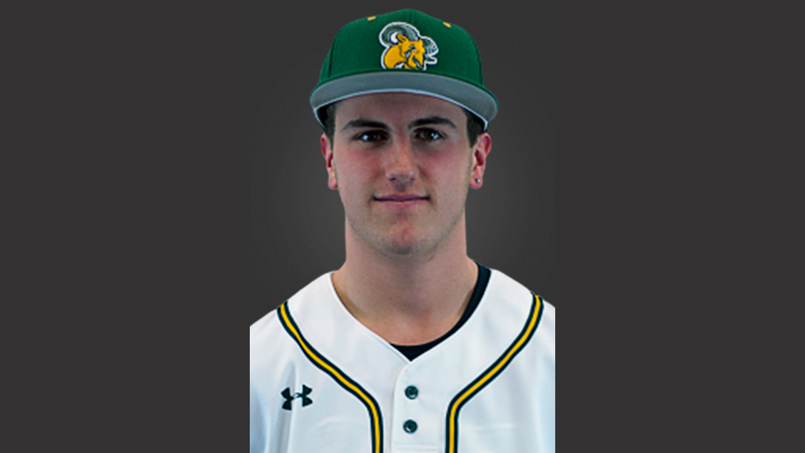 Baseball Gets Back On Track With Split Against Immaculata - Delaware ...