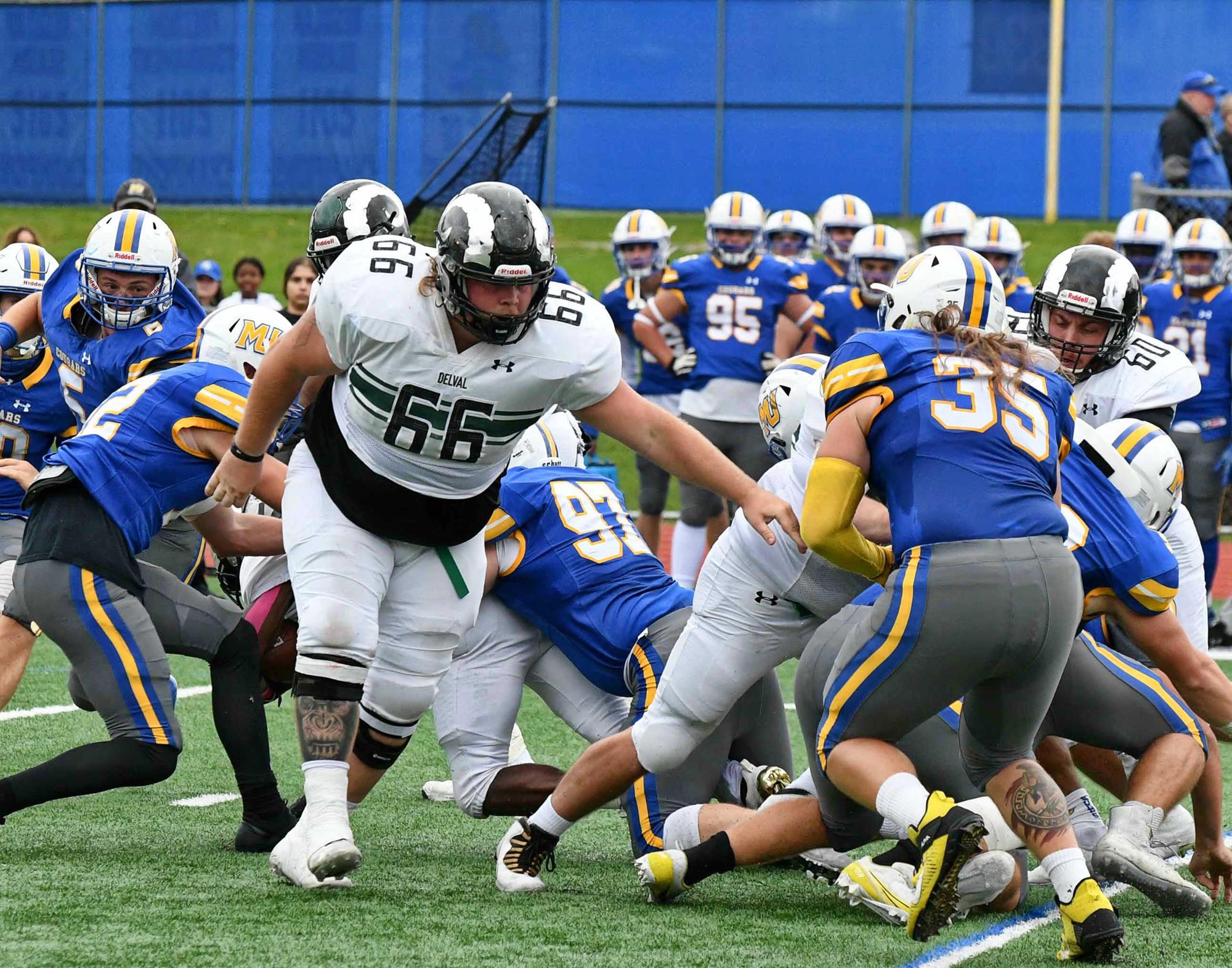Austin Regan - Football - Delaware Valley University Athletics