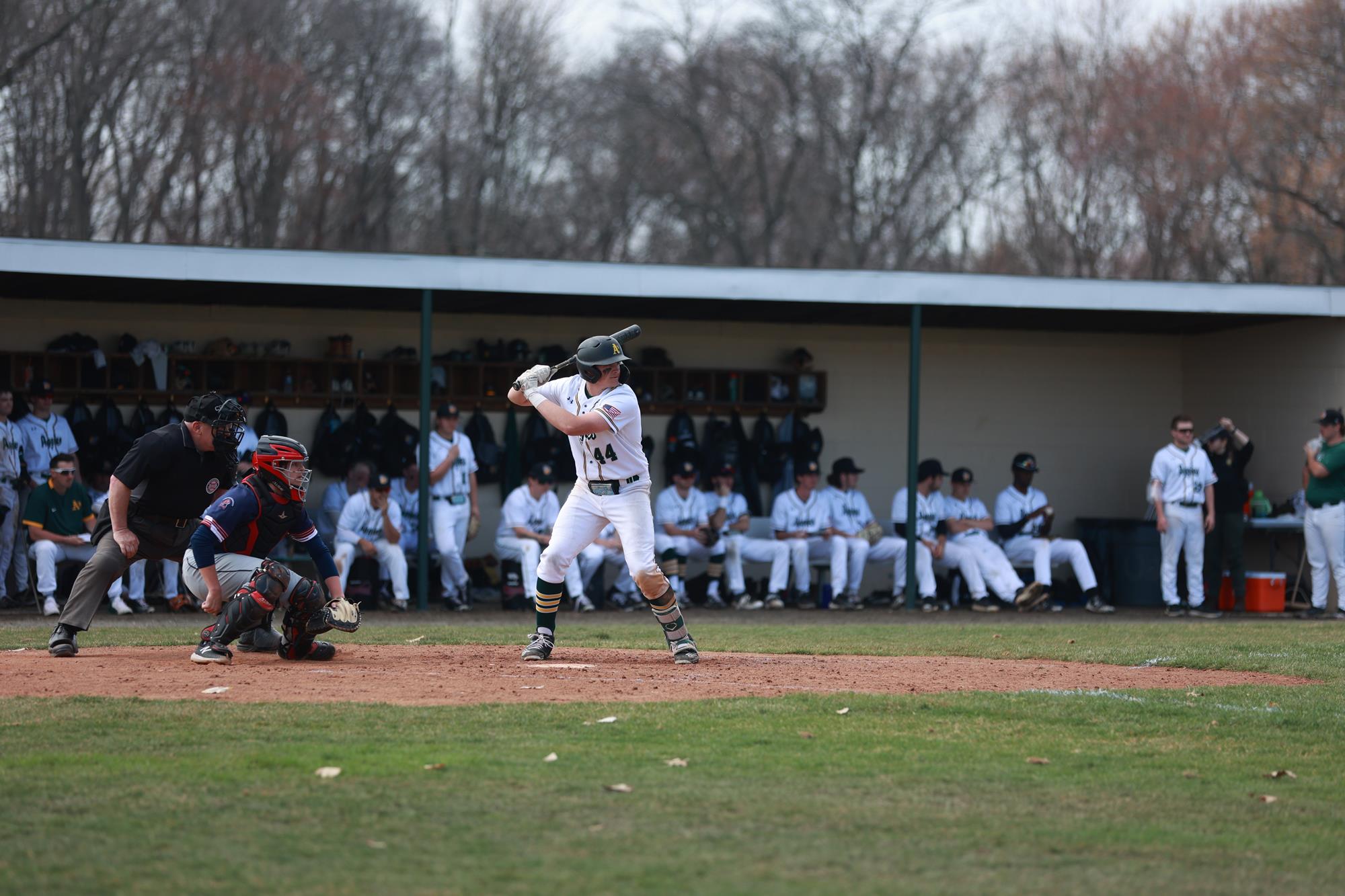 Hank Bielen - Baseball - Delaware Valley University Athletics