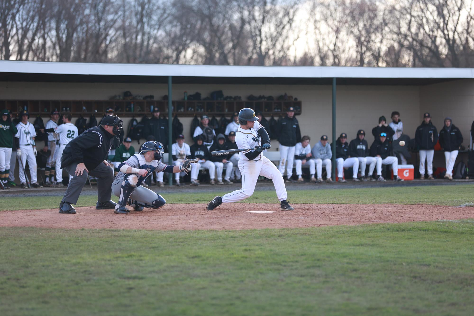 Evan Scally - Baseball - Delaware Valley University Athletics