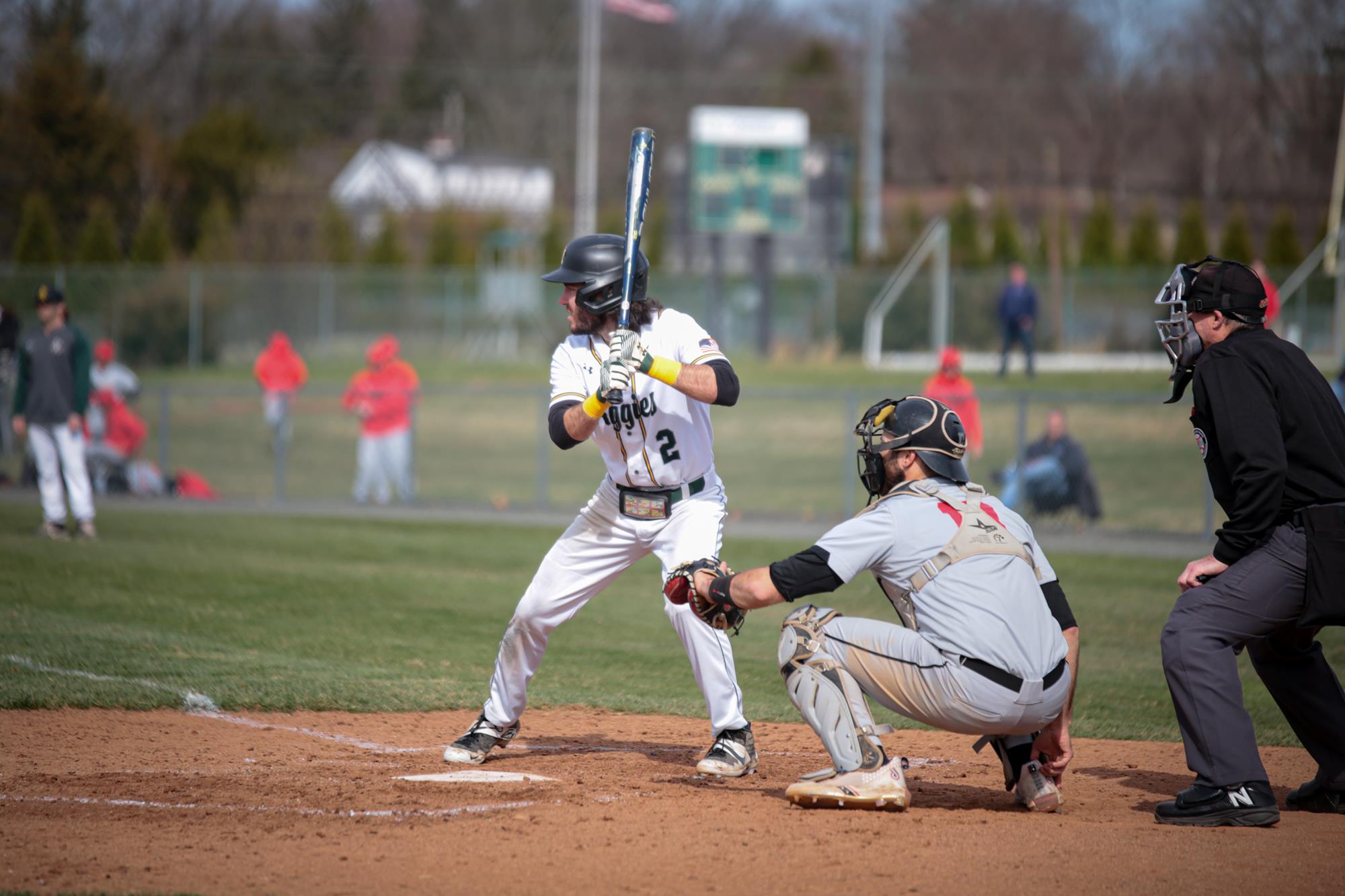 Timmy Lallis - Baseball - Delaware Valley University Athletics